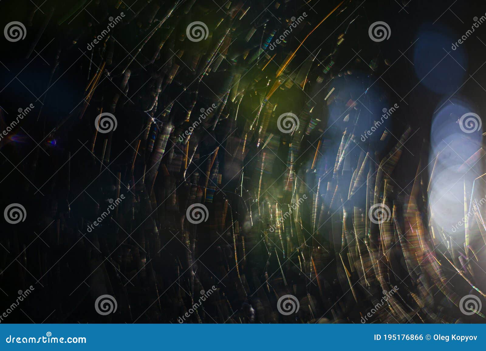 Cobweb in the Rays of Light. Stock Photo - Image of forest, shines ...