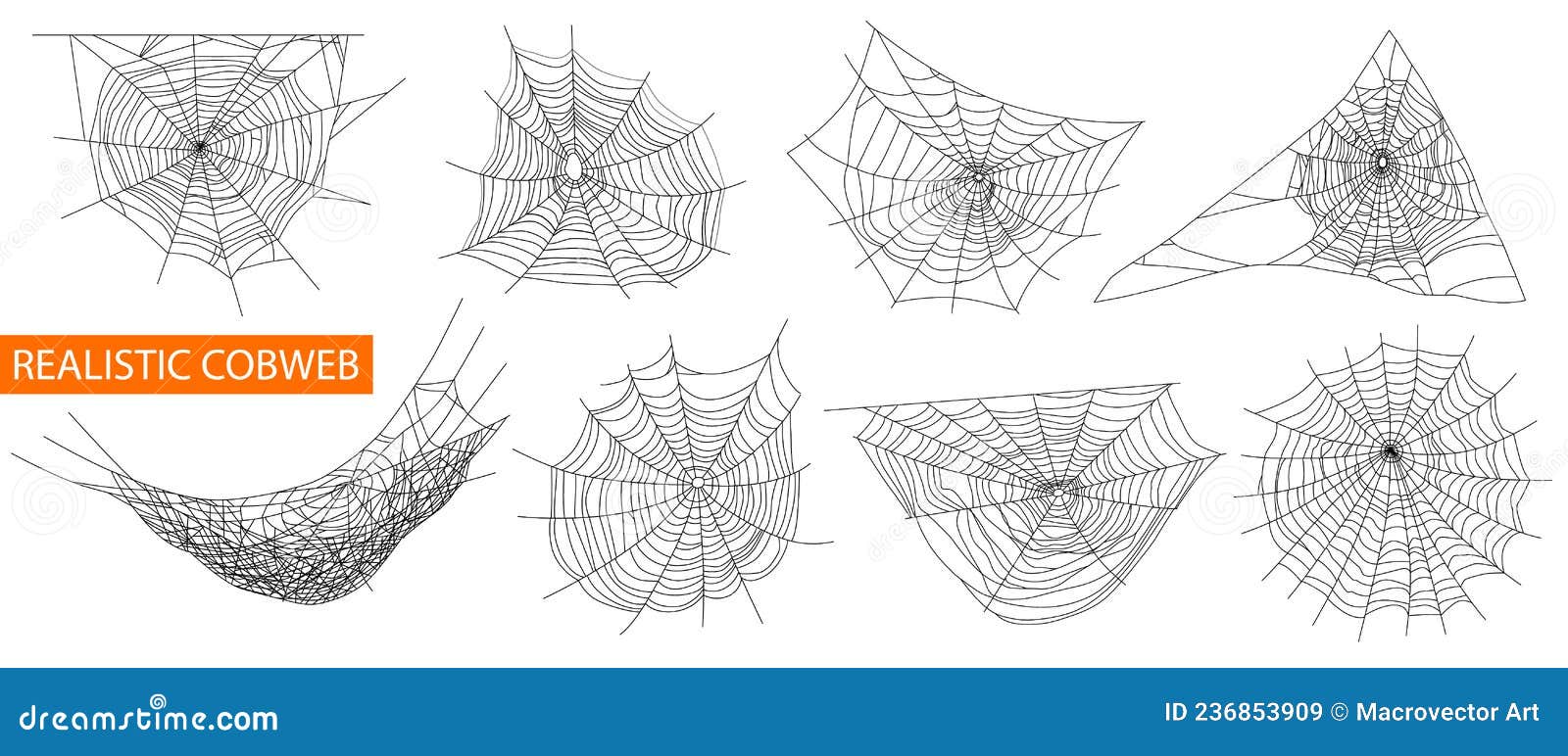 Cobweb Realistic Set stock vector. Illustration of cobweb - 236853909