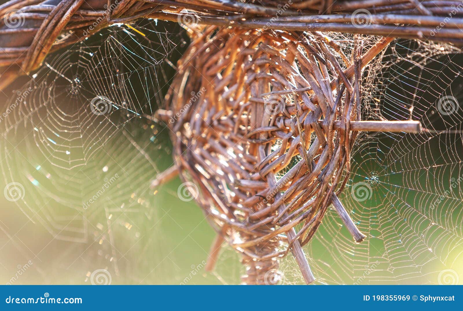 Spooky Scary Tree With Grungy Textures Stock Photo | CartoonDealer.com ...
