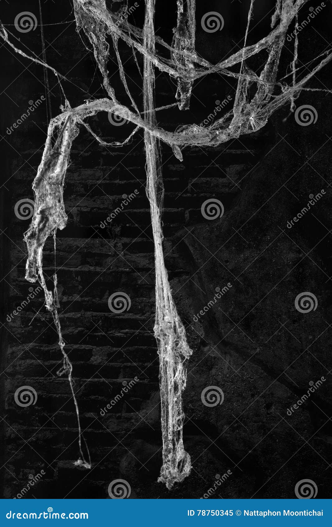 Cobweb or Spider Web Dust on Wall Background Stock Image - Image of ...