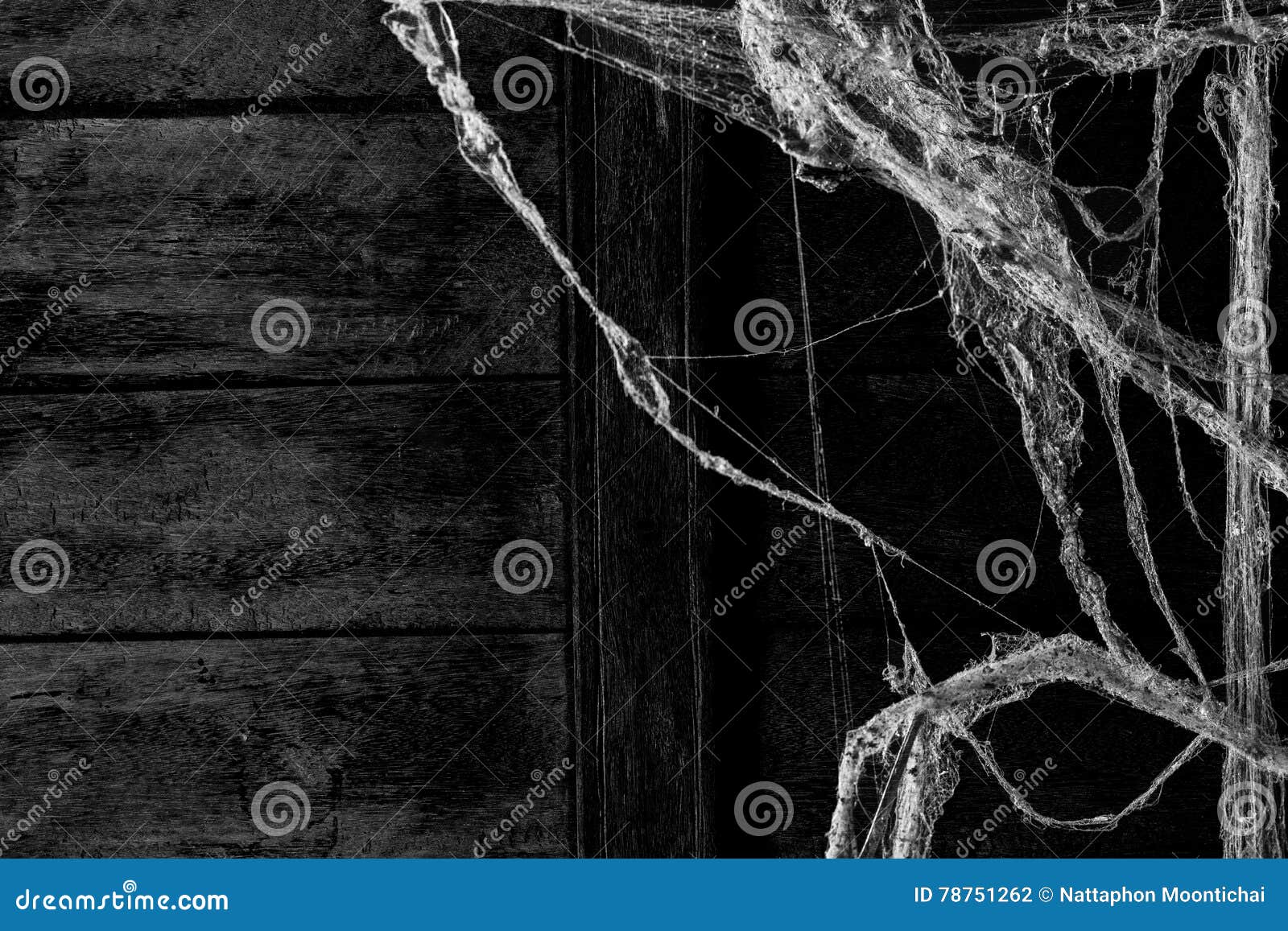 Cobweb or Spider Web Dust on Wall Background Stock Photo - Image of ...