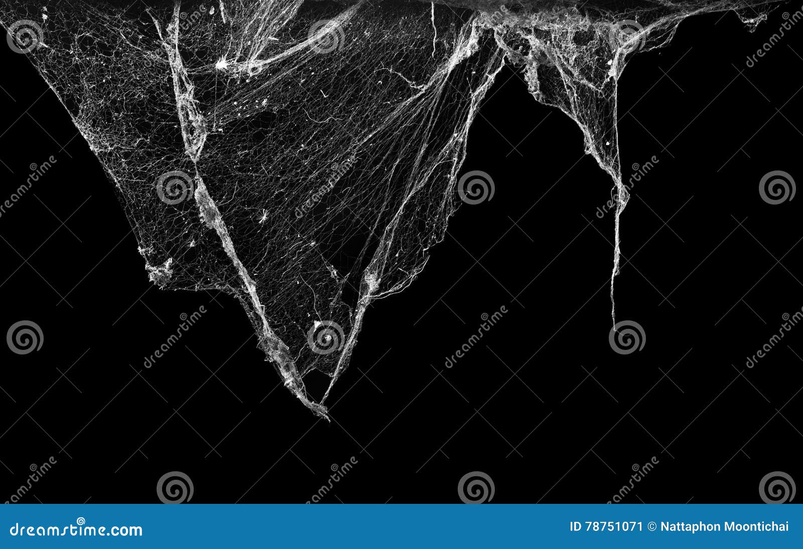 Cobweb or Spider Web Isolated on Black Background Stock Image - Image ... Cobweb or Spider Web Isolated on Black Background Stock Image - Image ...