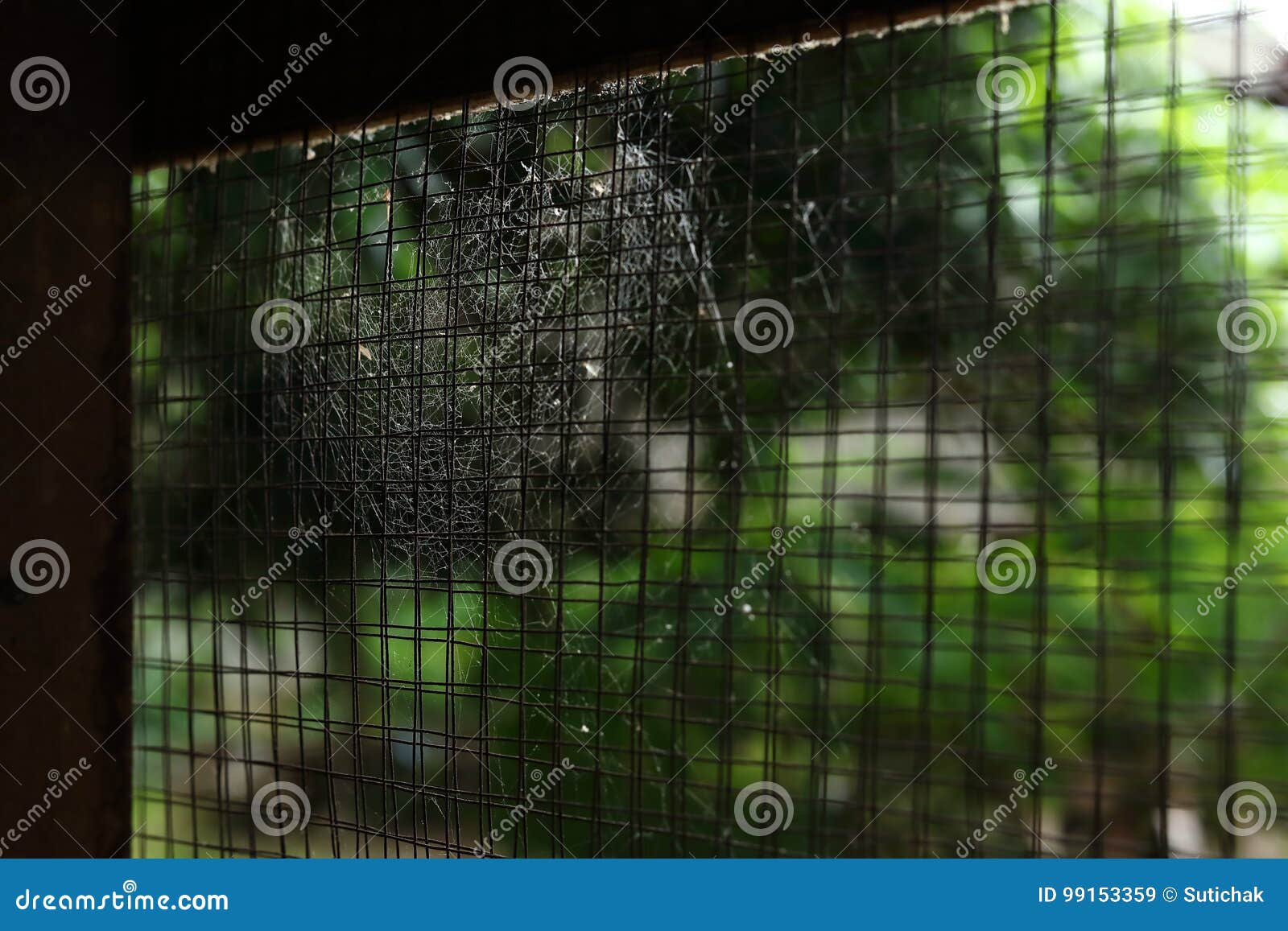 Spider Web On Rusty Metal Fence Background. Royalty-Free Stock Photo ...