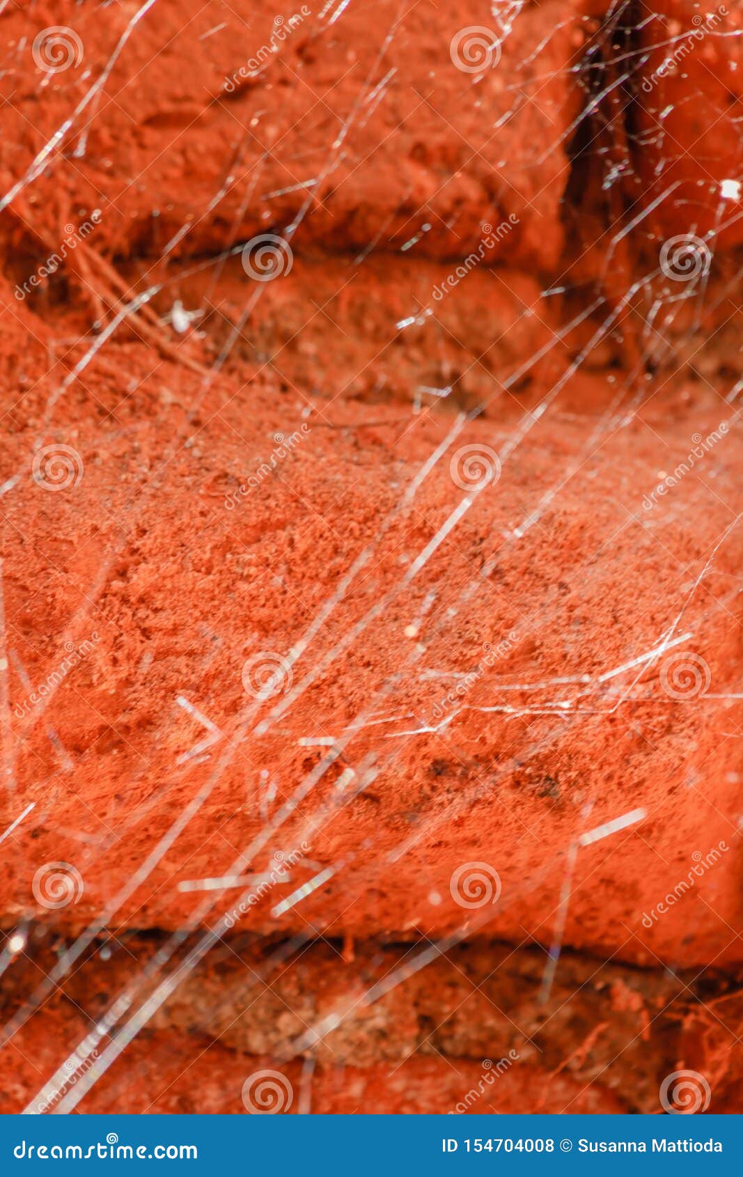 A Tangled Cobweb on an Old Brick Wall Stock Photo - Image of cobweb ...