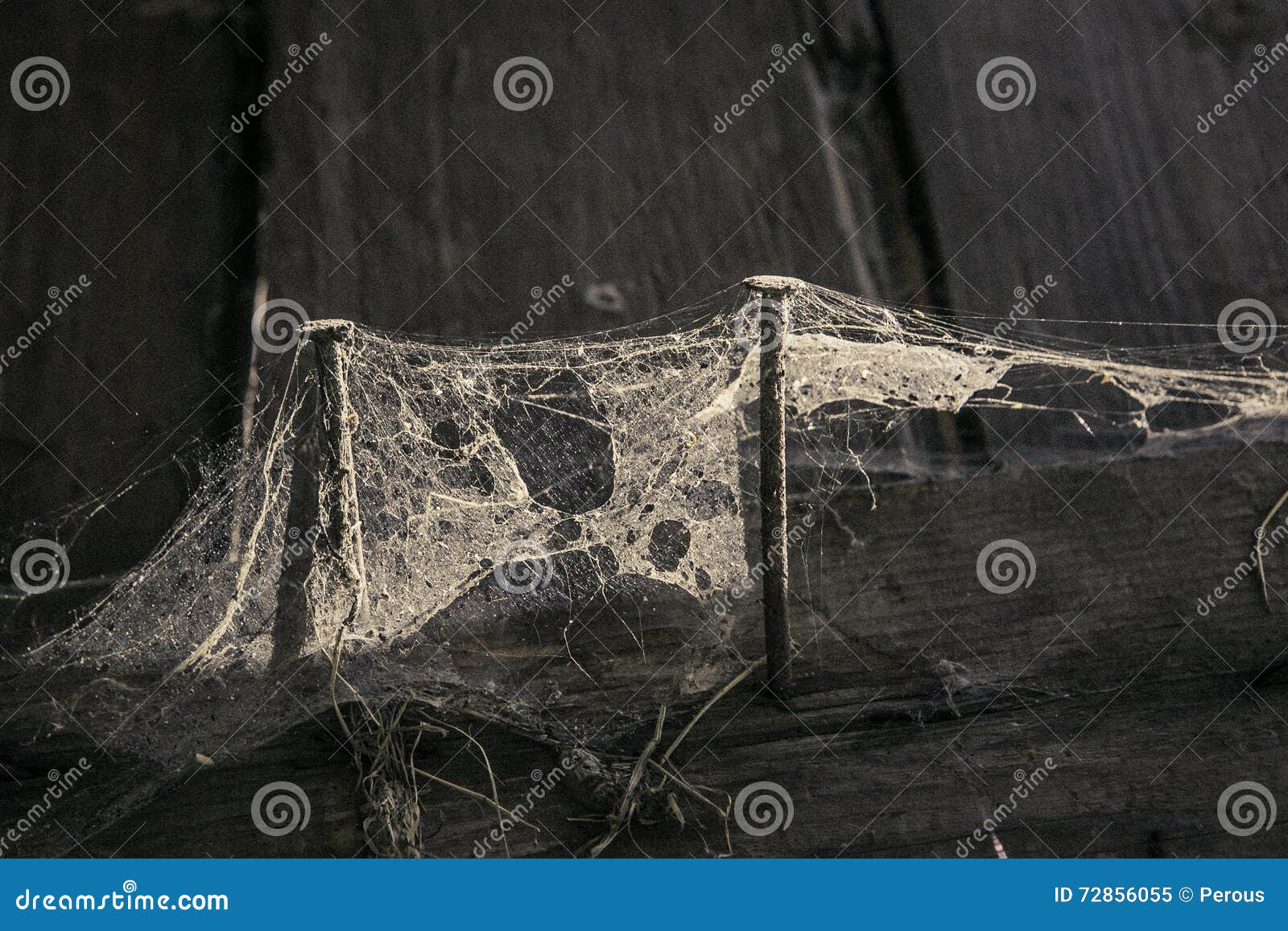 Cobweb and Two Rusty Nails Three Boards Stock Image - Image of interior ...