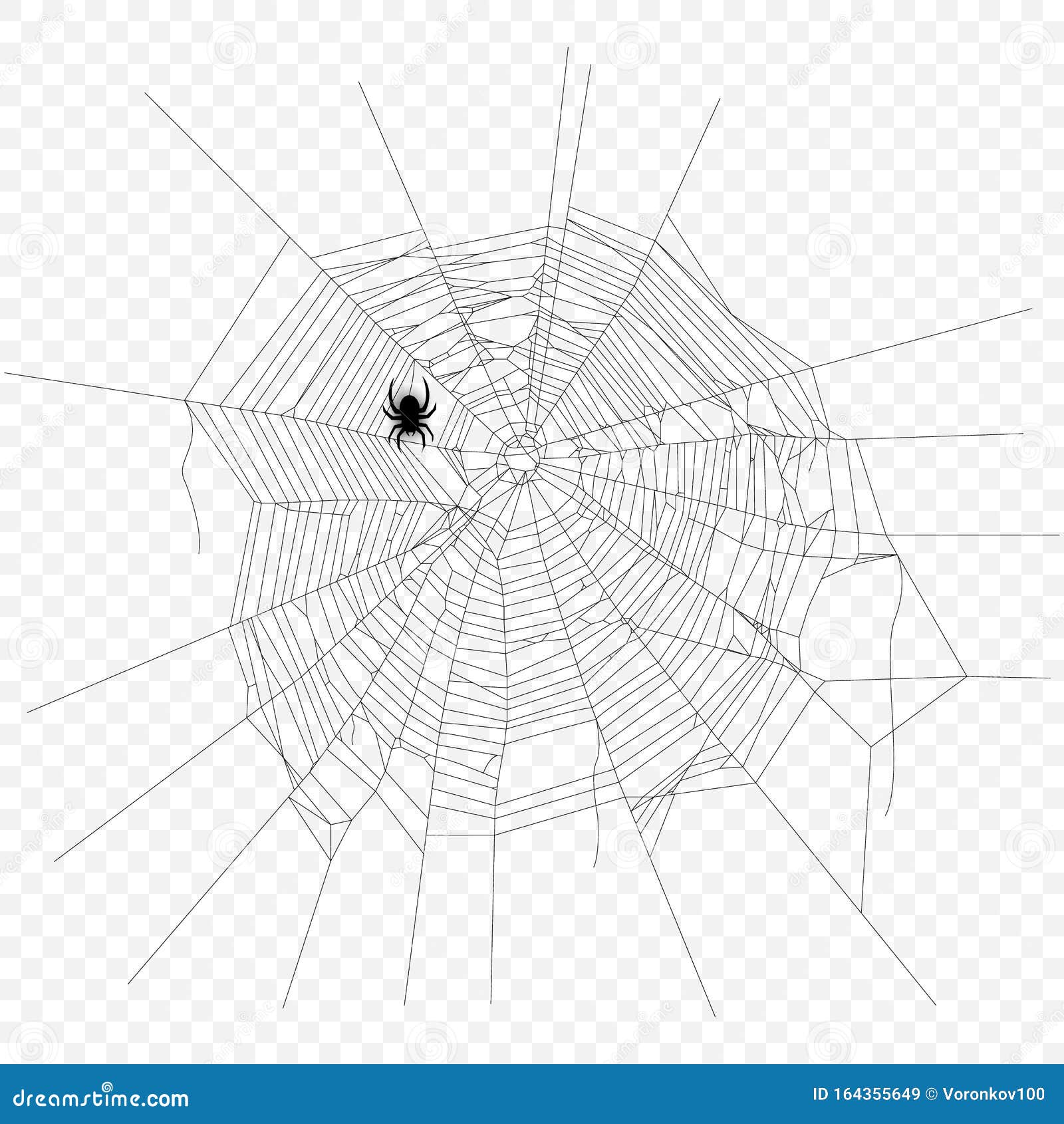 Cobweb Vector Decorative Element. Crawling Spider. Spiderweb Object on ...