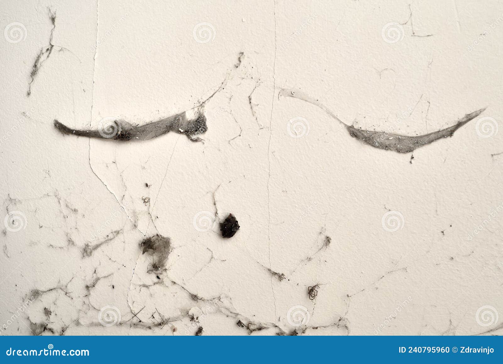 Cobweb on the wall stock photo. Image of abandoned, insect - 240795960