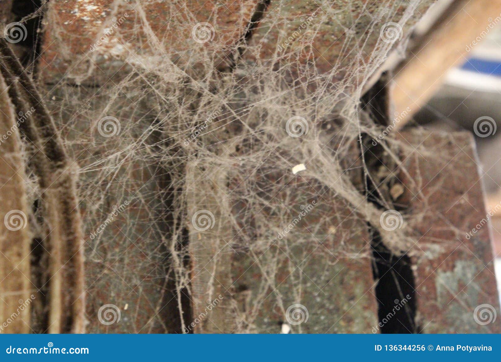 Cobwebbed doorway stock photo. Image of dusty, cobweb - 136344256
