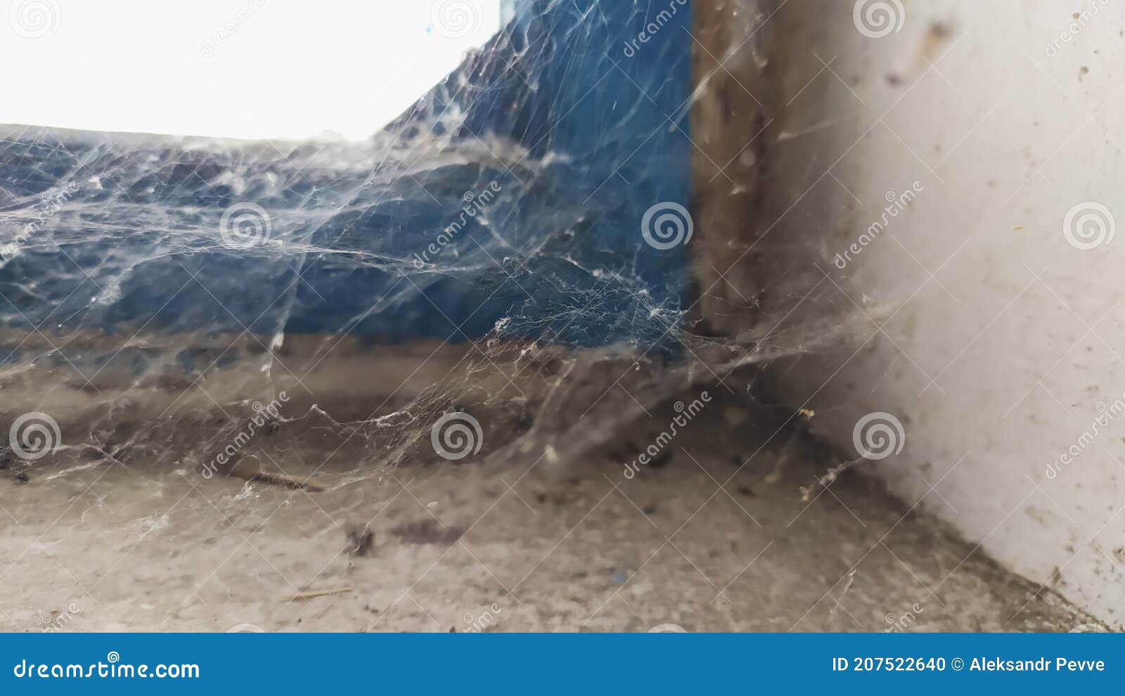 Cobwebs in the Concrete Corner by the Window Stock Photo - Image of ...