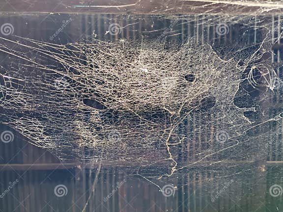 Cobwebs in an house stock photo. Image of iron, wood - 313127336