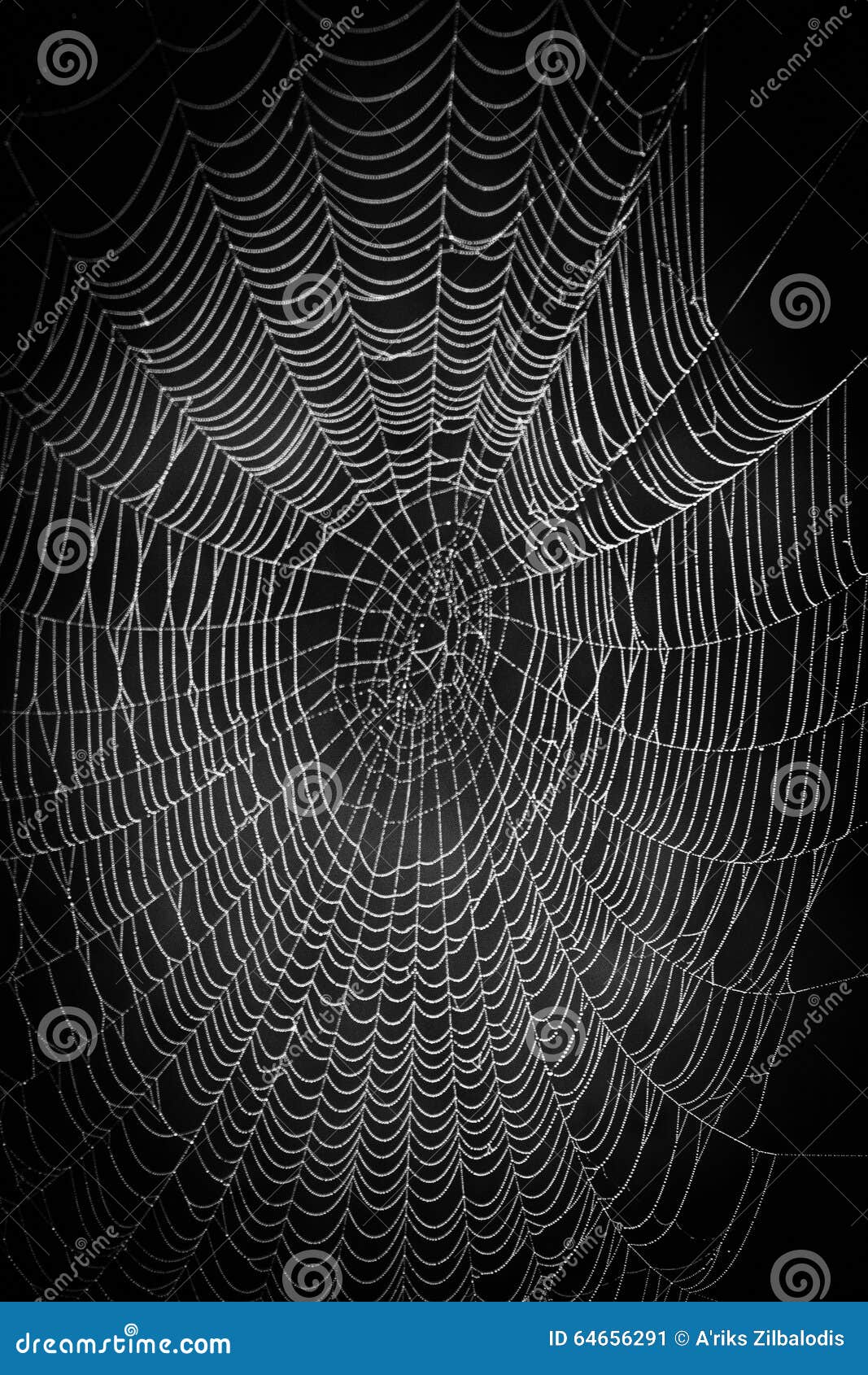Cobwebs on a Natural Background Stock Image - Image of abstract ...