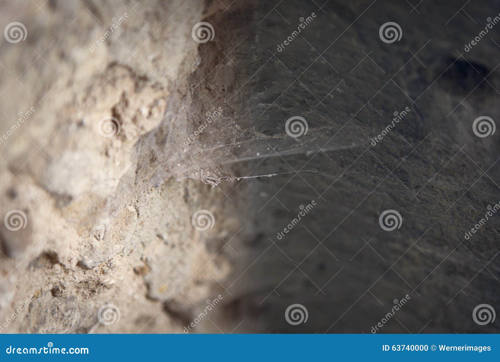 Cobwebs at an Old Stone Wall Stock Photo - Image of weathered, cobwebs ...