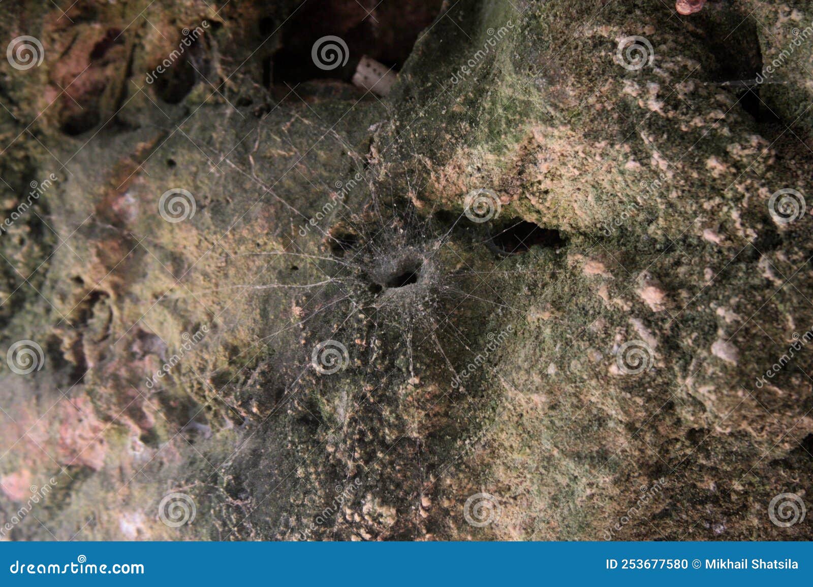 Cobweb on Rock, Part of a Cave. Stock Photo - Image of geology, terrain ...