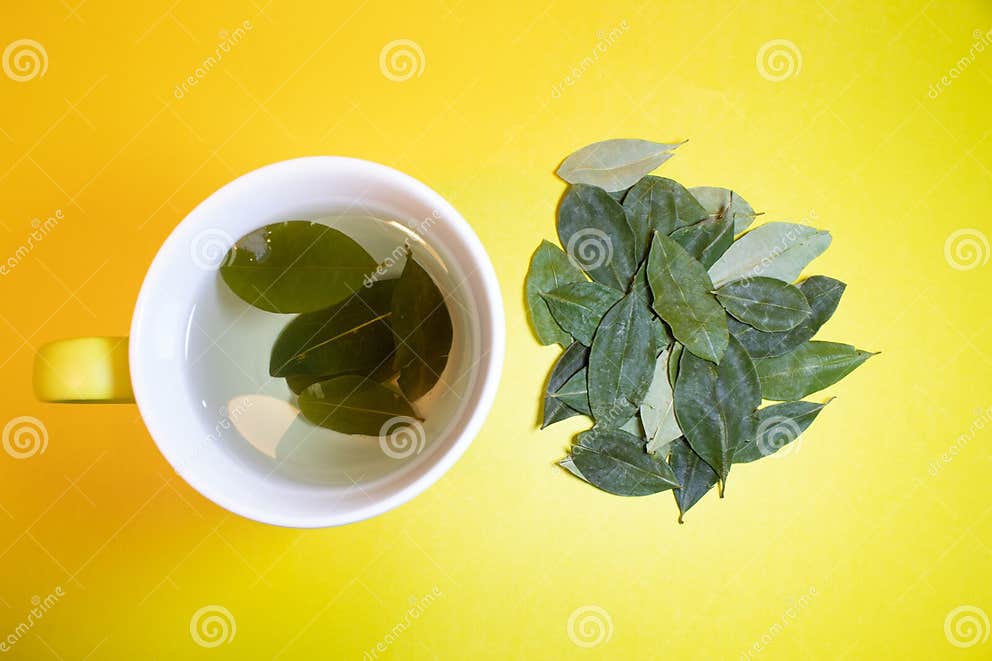 Coca Tea, with Coca Leaves and Yellow Background Stock Photo - Image of ...