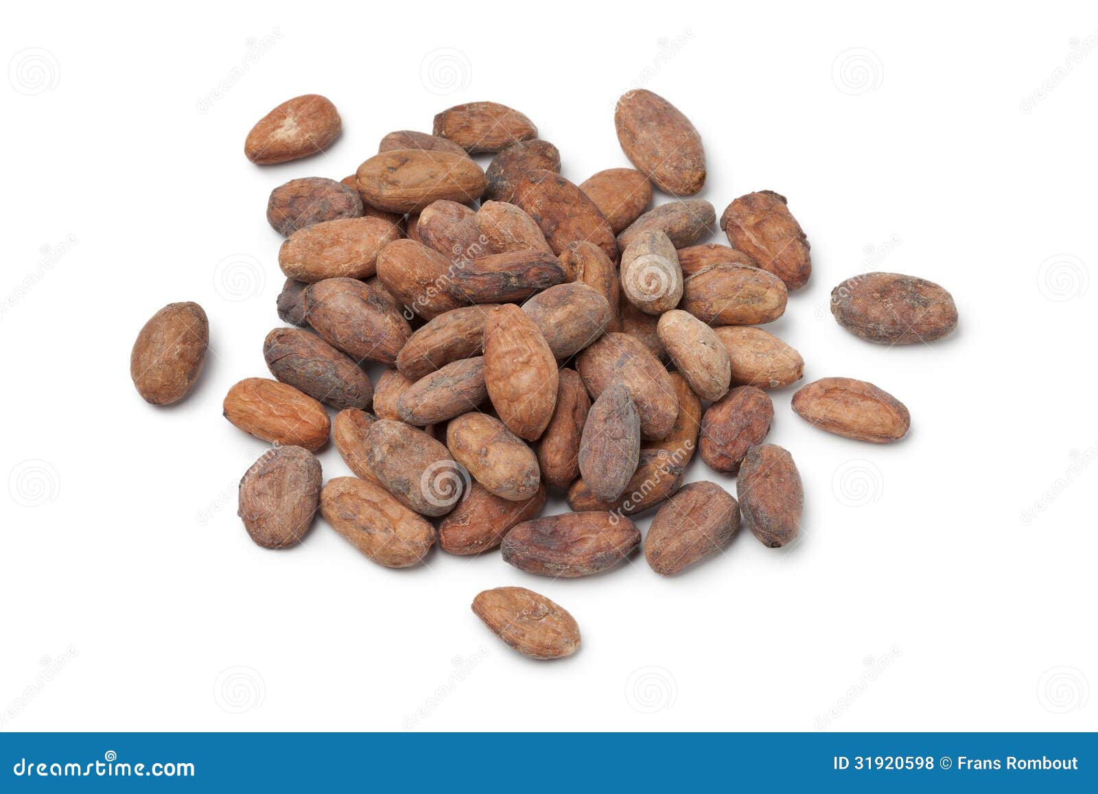 Cocao beans stock photo. Image of healthy, cocao, cacao - 31920598