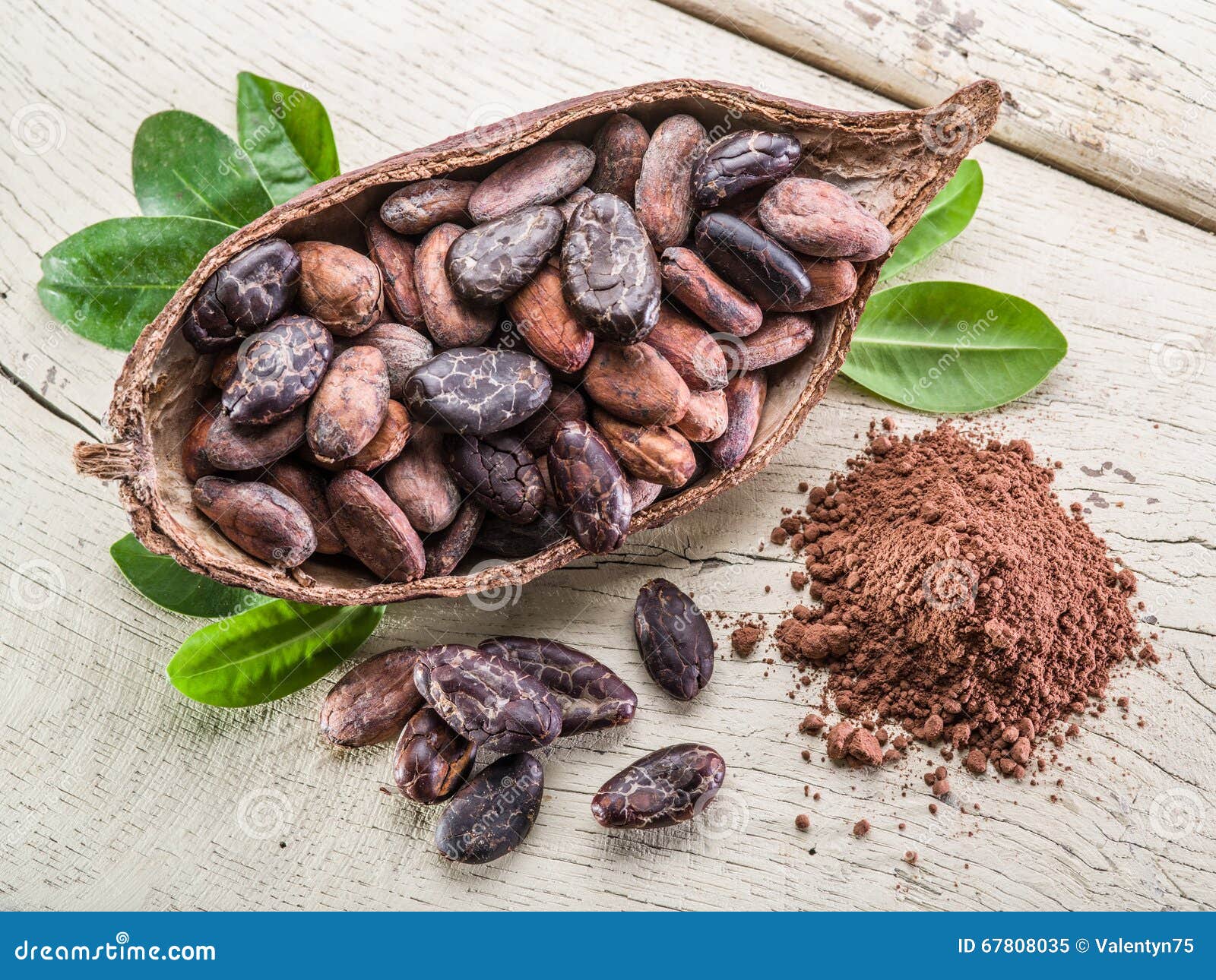 Cocao Pod Wooden Stock Photos - Free & Royalty-Free Stock Photos from ...