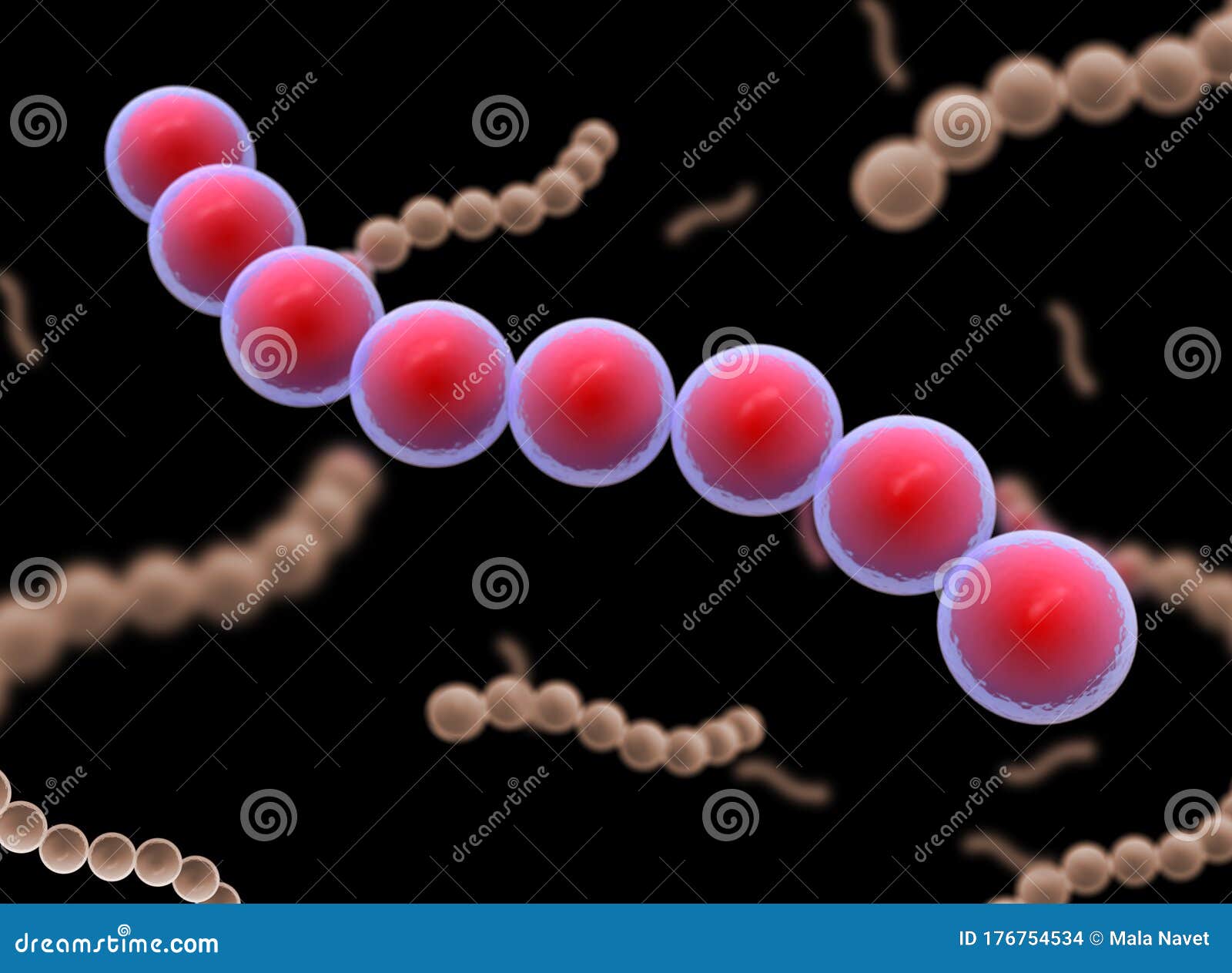 Cocci Shape Of Bacteria. Streptococci Type Bacteria. Stock Photography ...
