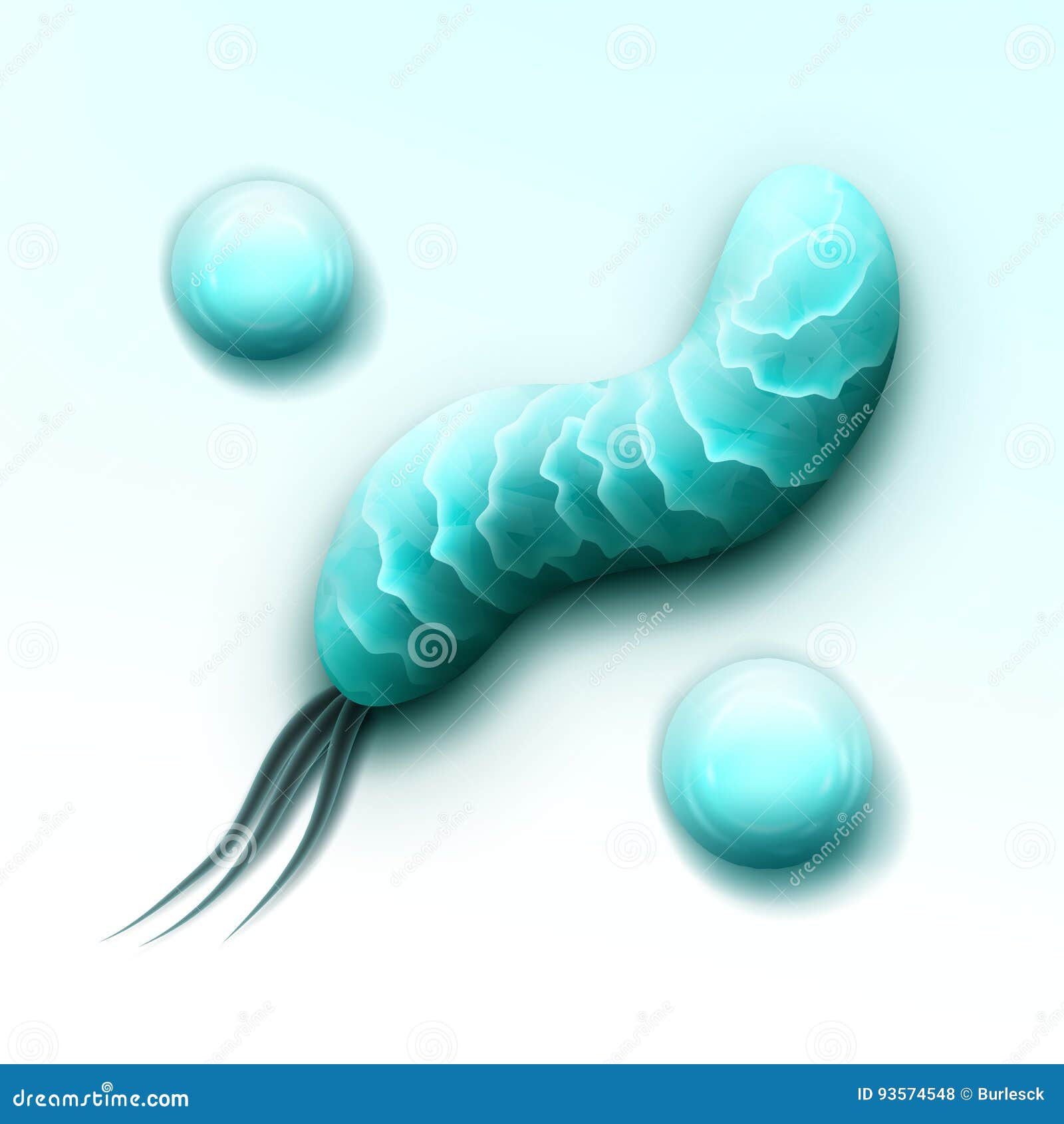 Bacillus Cocci Bacteria Line Icon Vector Illustration | CartoonDealer ...