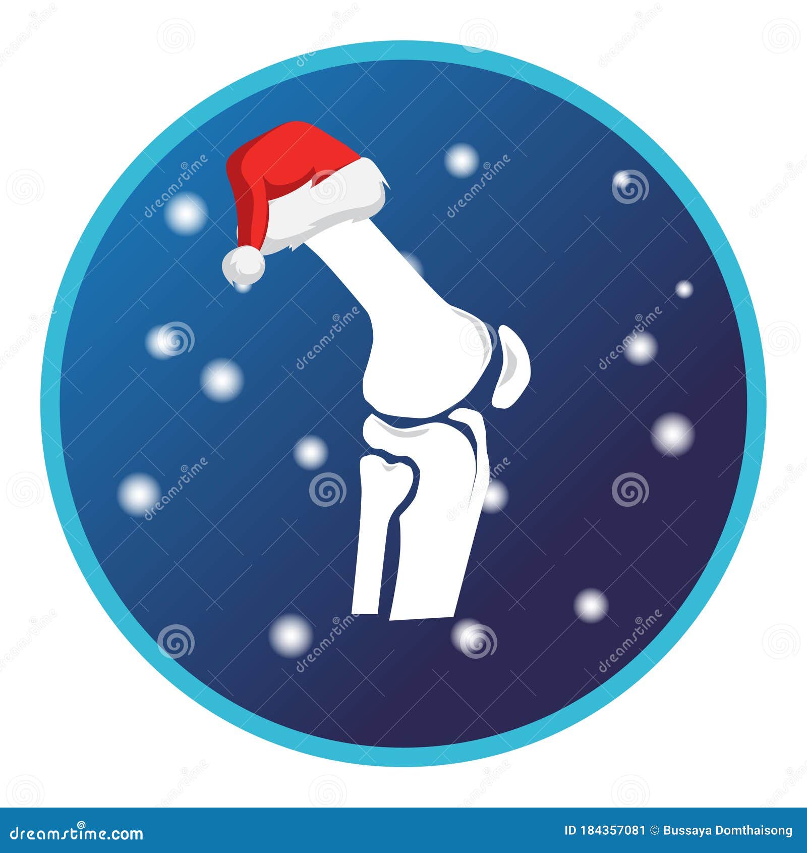 Knee Bone Anatomy Cartoon Vector | CartoonDealer.com #228461777