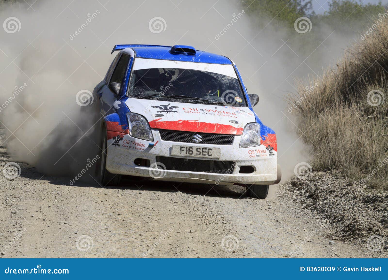Coche De Suzuki Swift Rally Imagen de archivo editorial - Imagen de ...