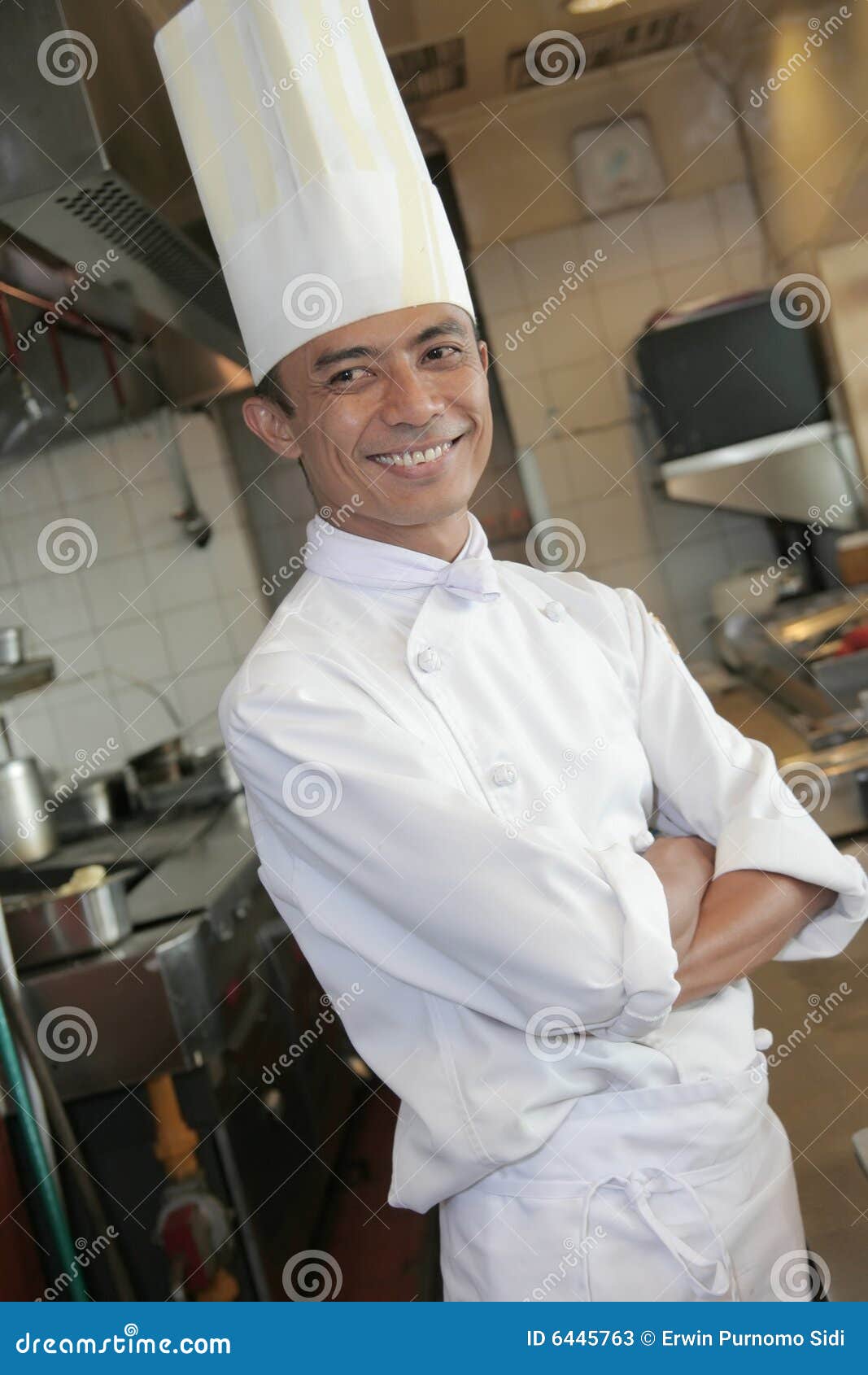 Cocinero imagen de archivo. Imagen de saludo, cortés, hombre - 6445763