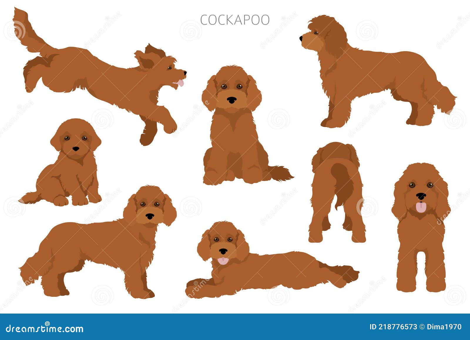 Cockapoo Mix Breed Clipart. Different Poses, Coat Colors Set Stock ...