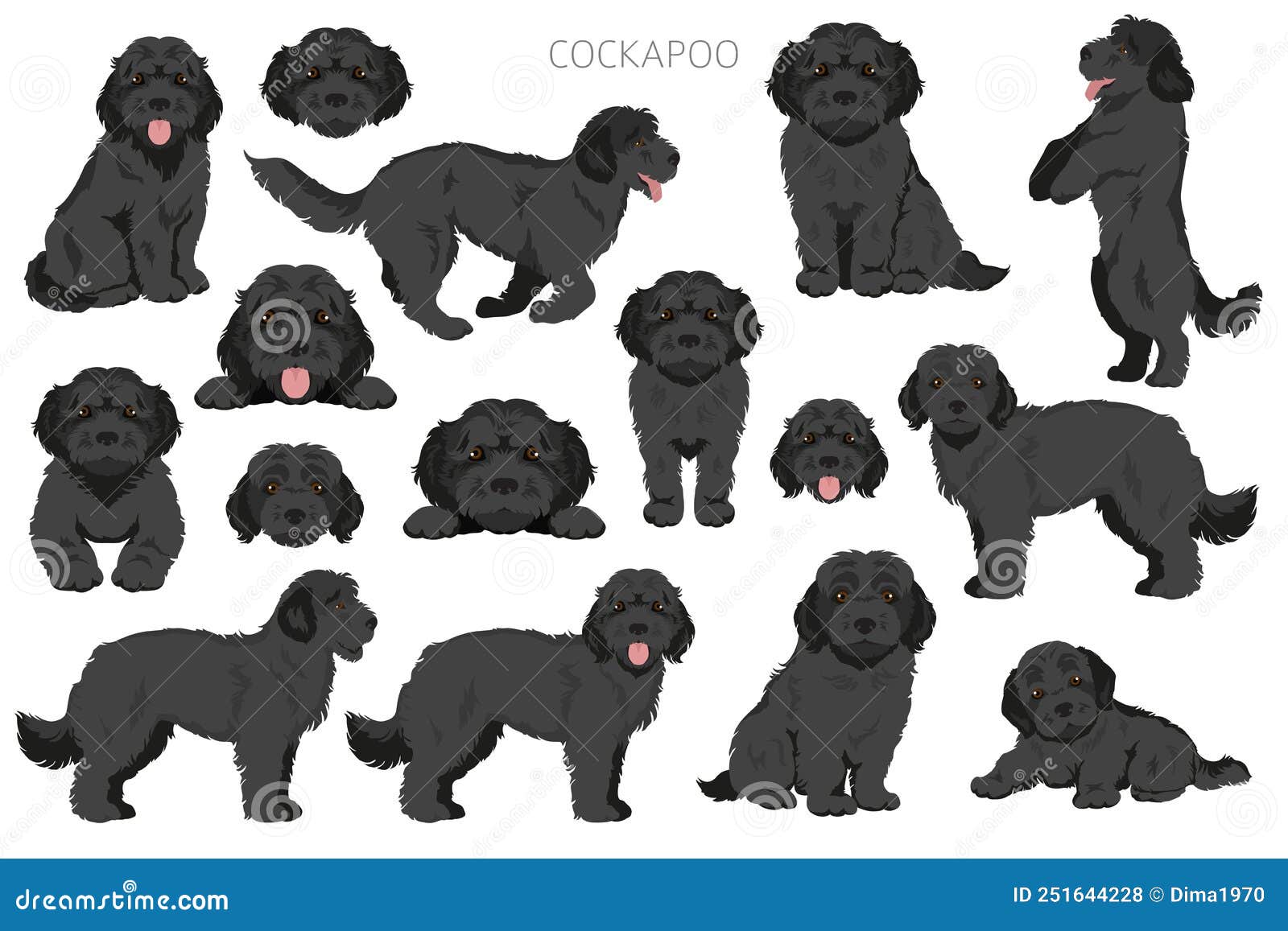 Cockapoo Mix Breed Clipart. Different Poses, Coat Colors Set Stock ...