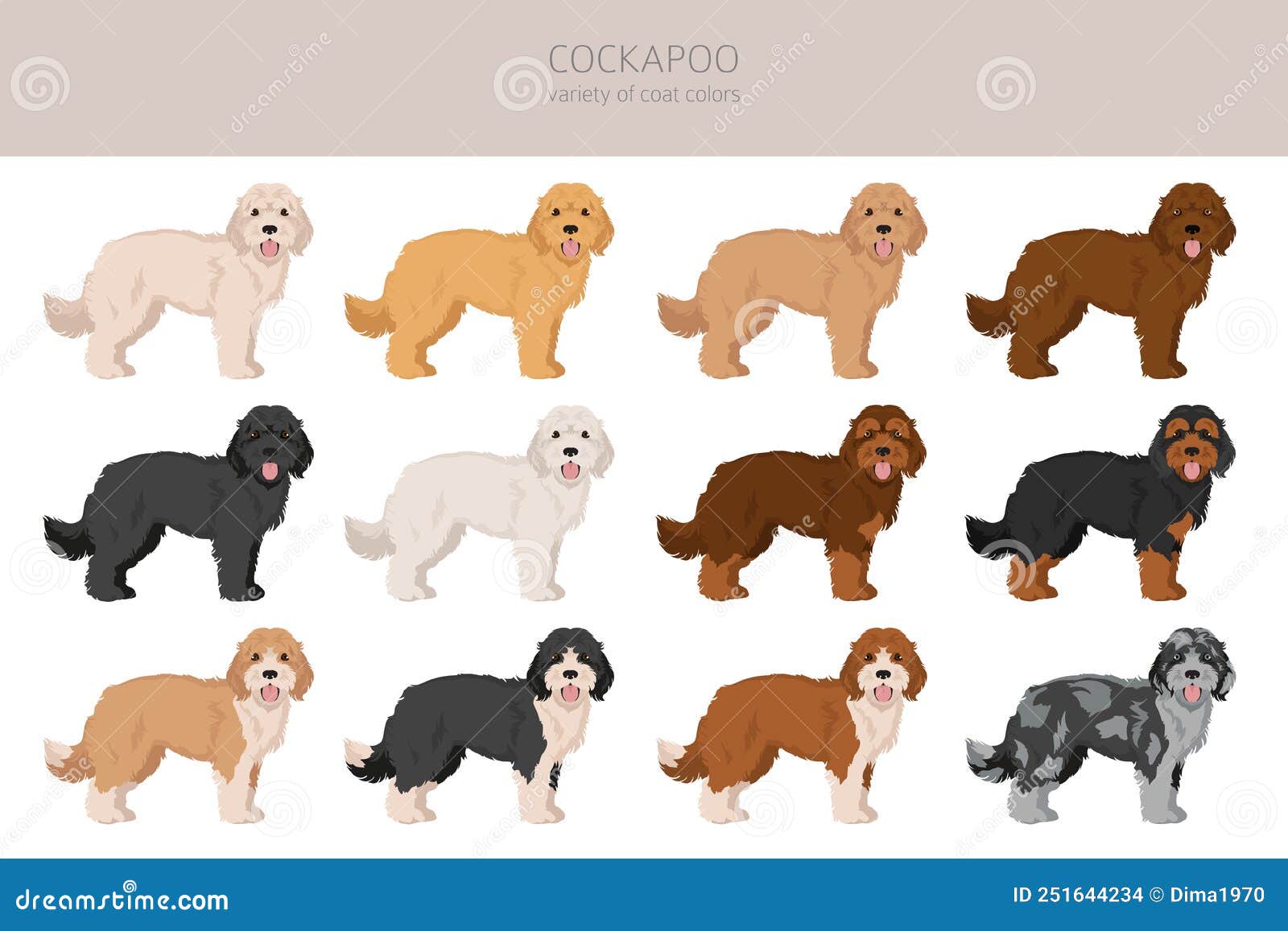 Cockapoo Mix Breed Clipart. Different Poses, Coat Colors Set Stock ...