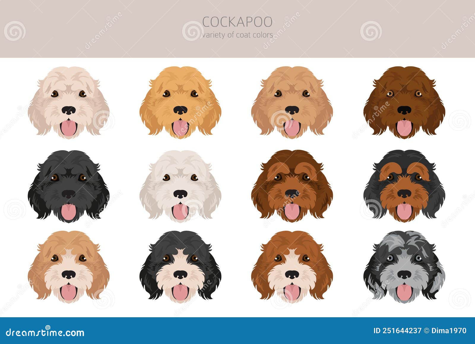 Cockapoo Mix Breed Clipart. Different Poses, Coat Colors Set Stock ...