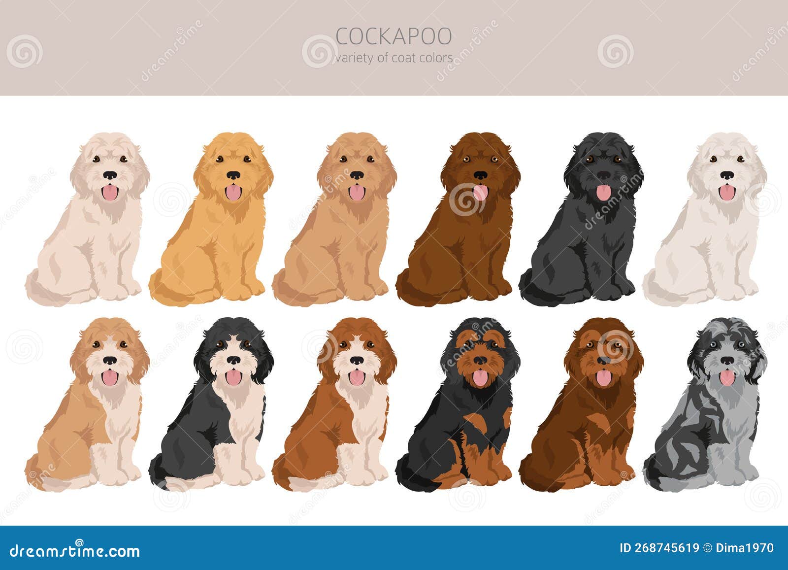 Cockapoo Mix Breed Clipart. Different Poses, Coat Colors Set Stock ...
