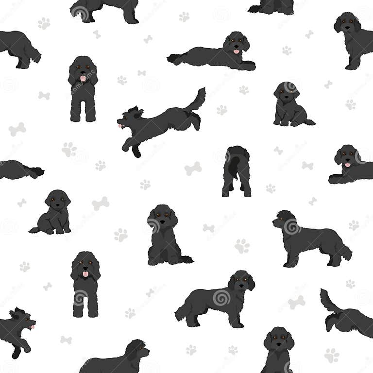 Cockapoo Mix Breed Seamless Pattern. Different Poses, Coat Colors Set.t ...