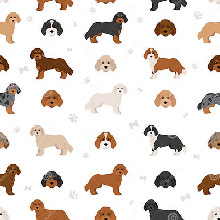 Cockapoo Mix Breed Seamless Pattern. Different Poses, Coat Colors Set.t ...