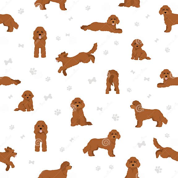 Cockapoo Mix Breed Seamless Pattern. Different Poses, Coat Colors Set.t ...