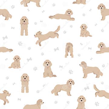 Cockapoo Mix Breed Seamless Pattern. Different Poses, Coat Colors Set.t ...