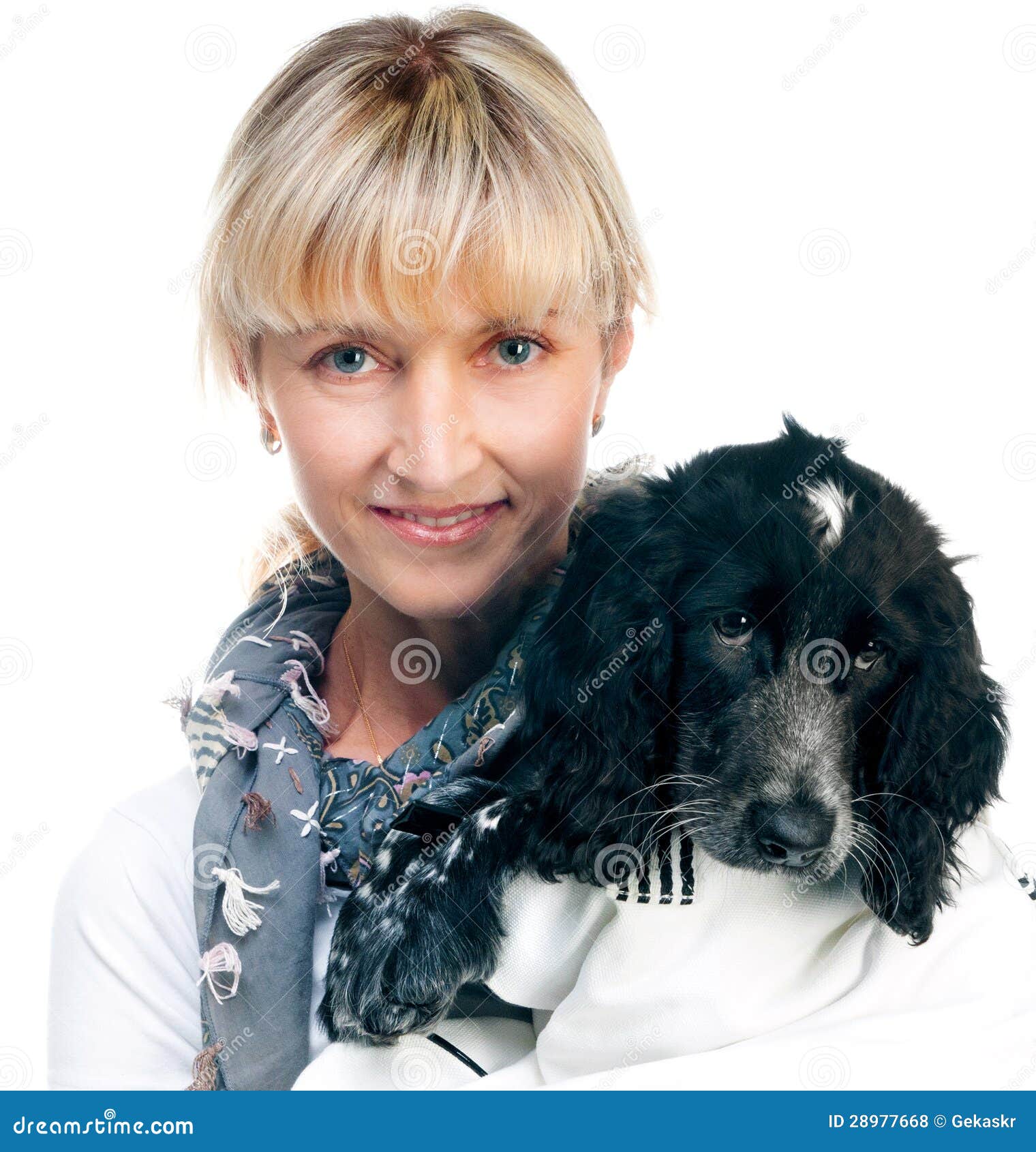 Cocker Spaniel Y Mujer Joven Foto de archivo - Imagen de feliz ...