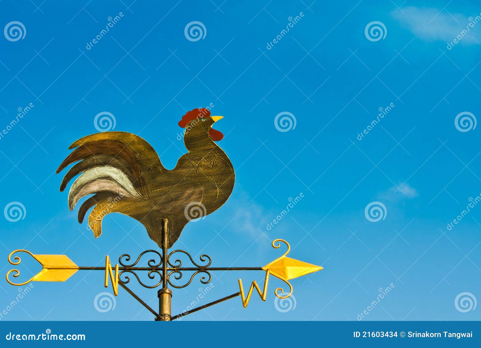 131 Rooster Tool Stock Photos - Free & Royalty-Free Stock Photos from ...