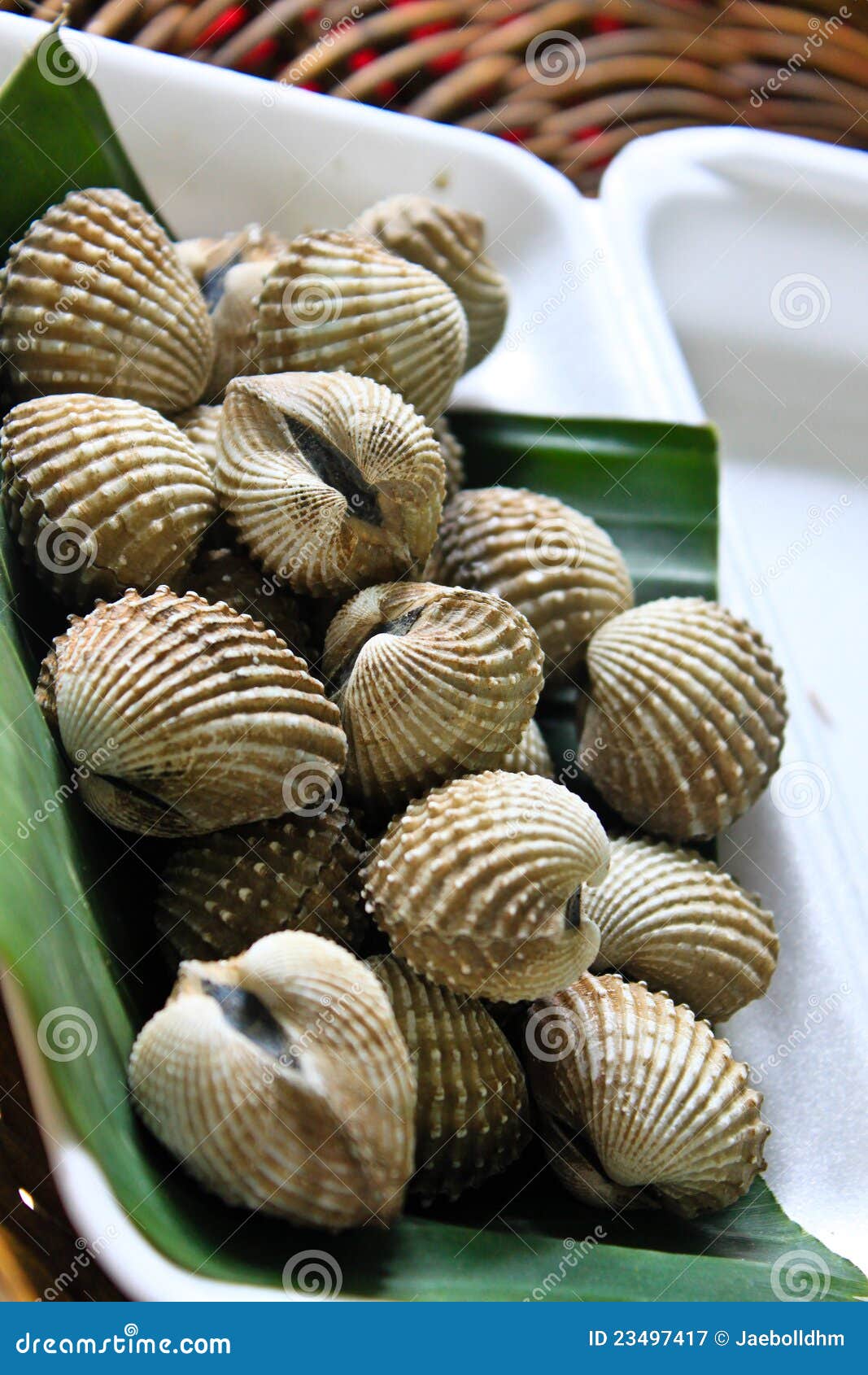 Cockle stock image. Image of plate, nature, cuisine, cook - 23497417