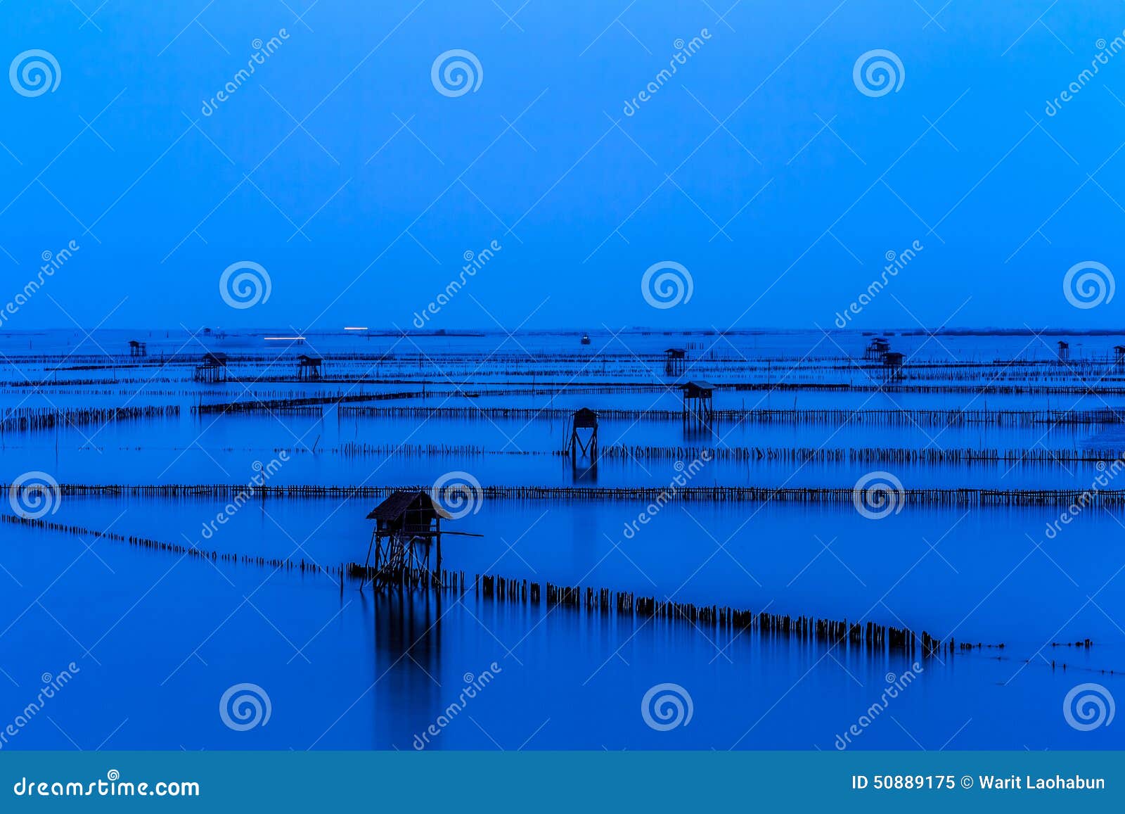 Cockle farm stock image. Image of outdoor, marine, cockle - 50889175