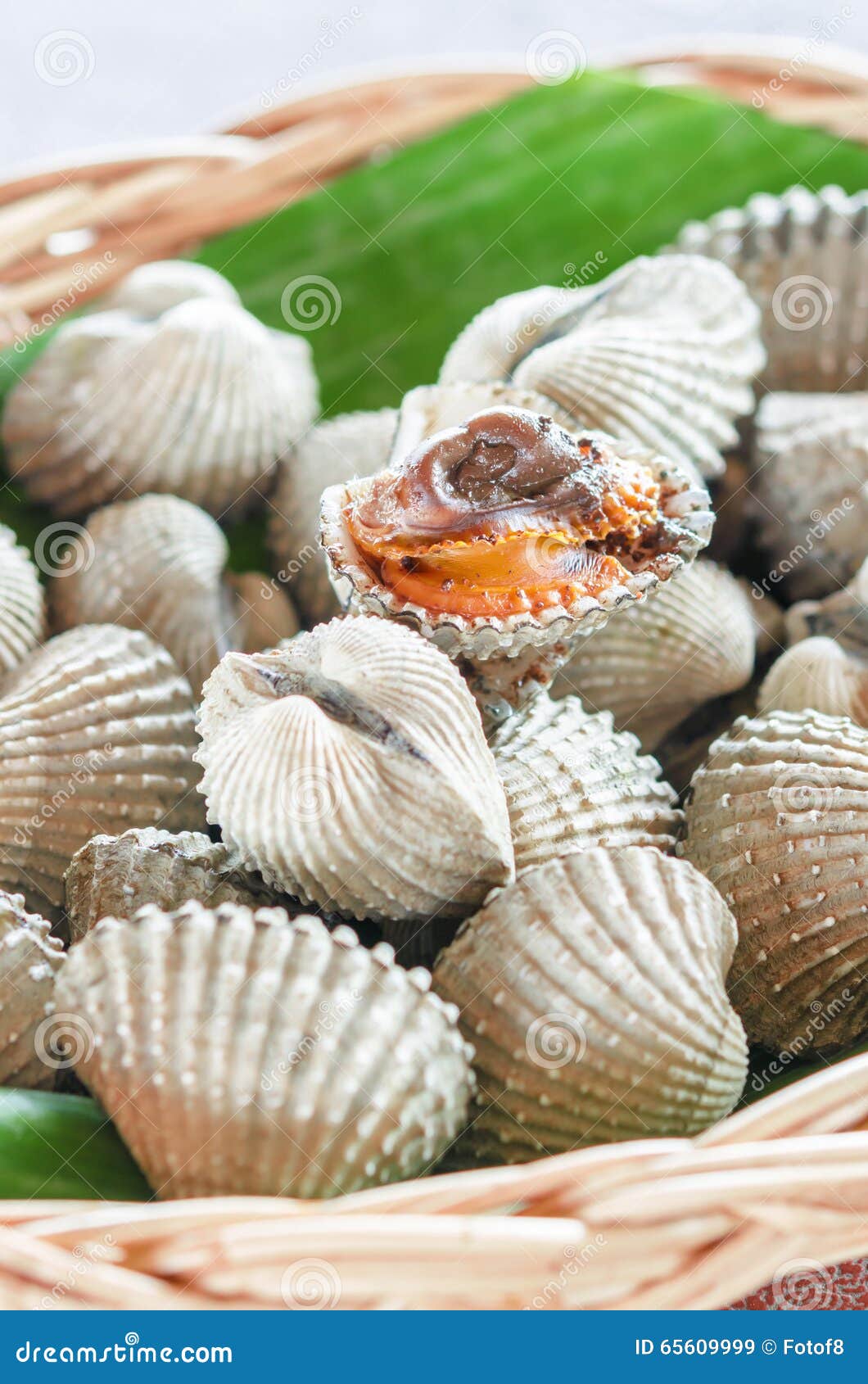 Cockle shell stock image. Image of thai, market, natural - 65609999