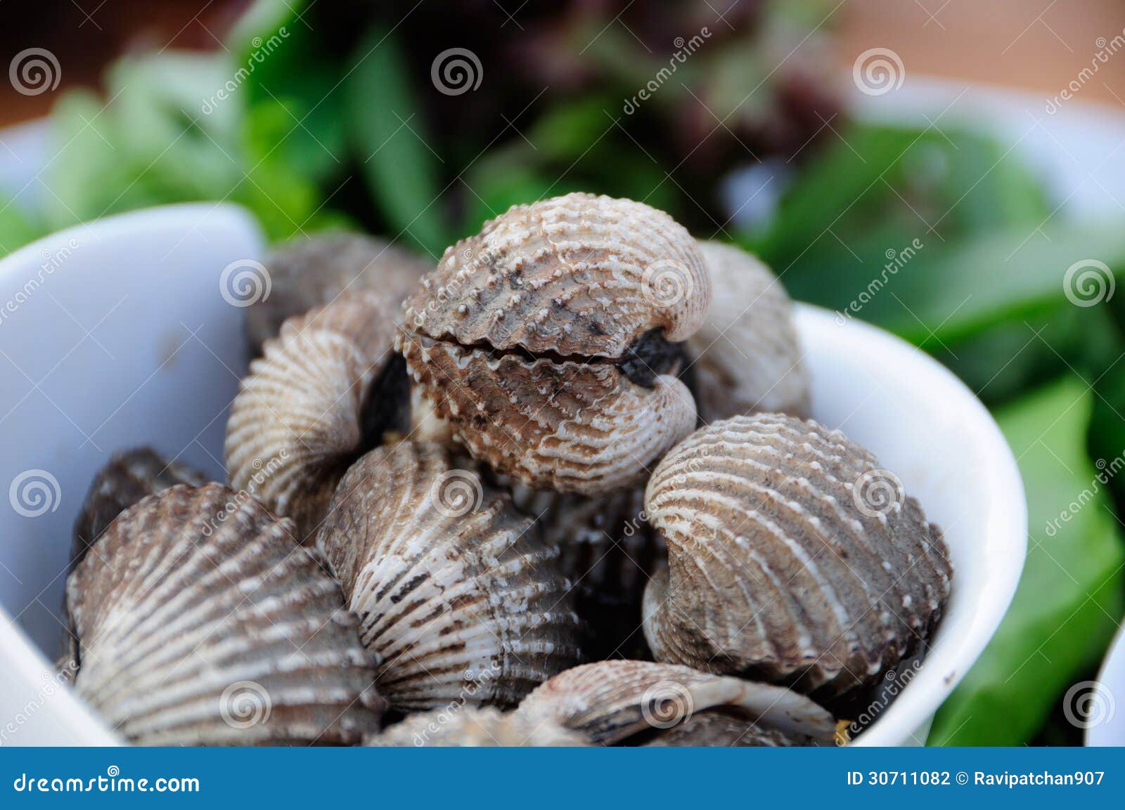 Cockle stock photo. Image of coast, ocean, marine, food - 30711082