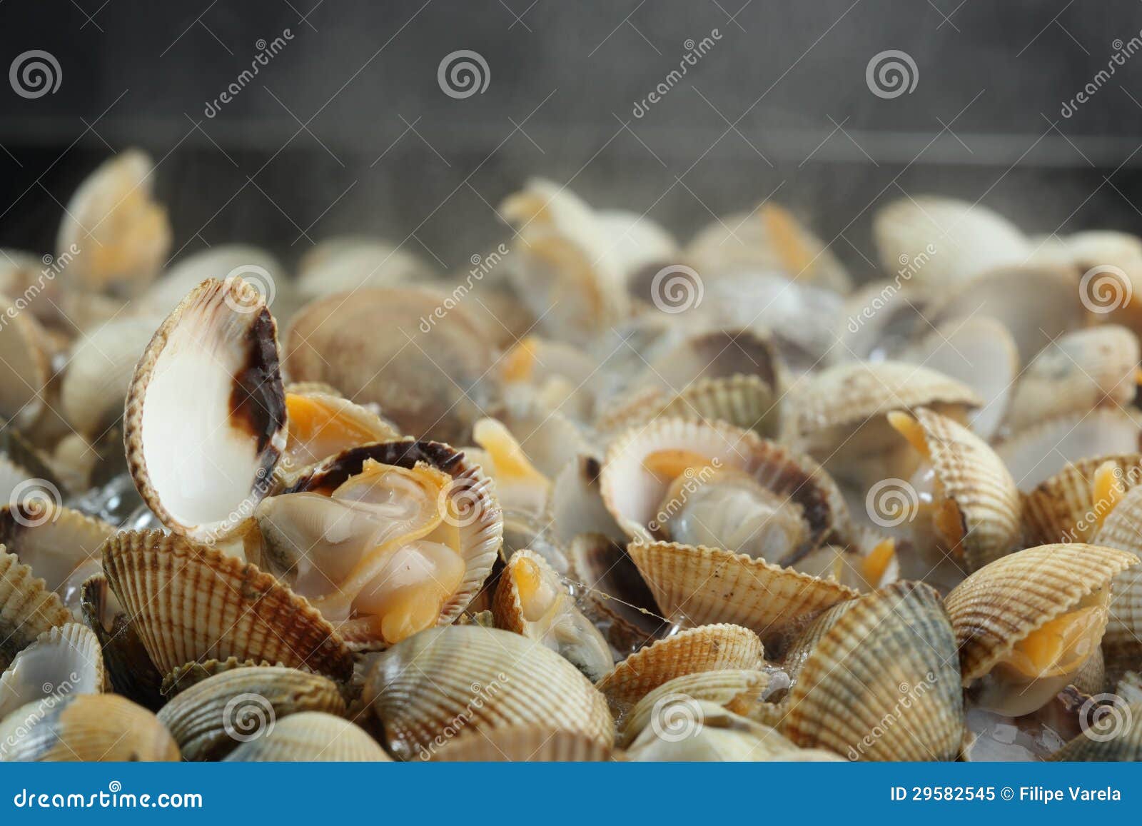 Cockles being cooked stock image. Image of mollusks, fish - 29582545