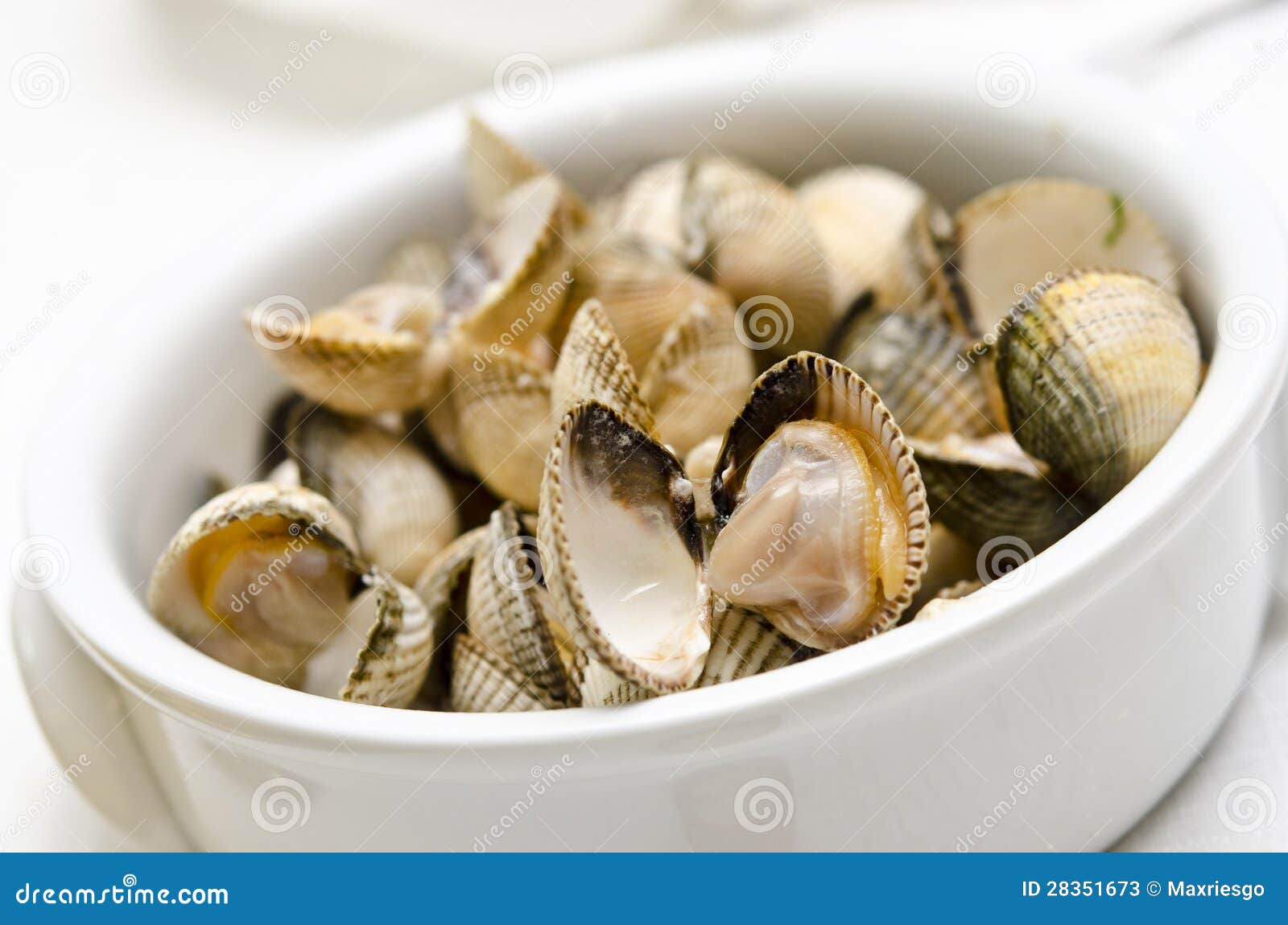 Cockles (berberechos) stock image. Image of aquatic, edible - 28351673