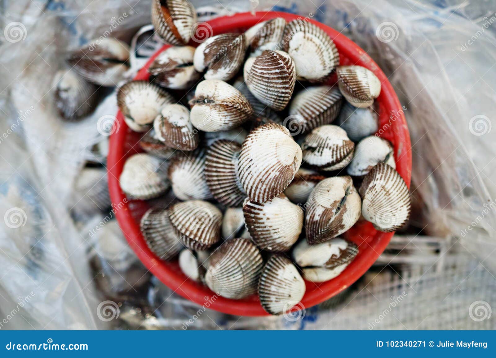 Cockles stock image. Image of gwangjang, cockles, market - 102340271