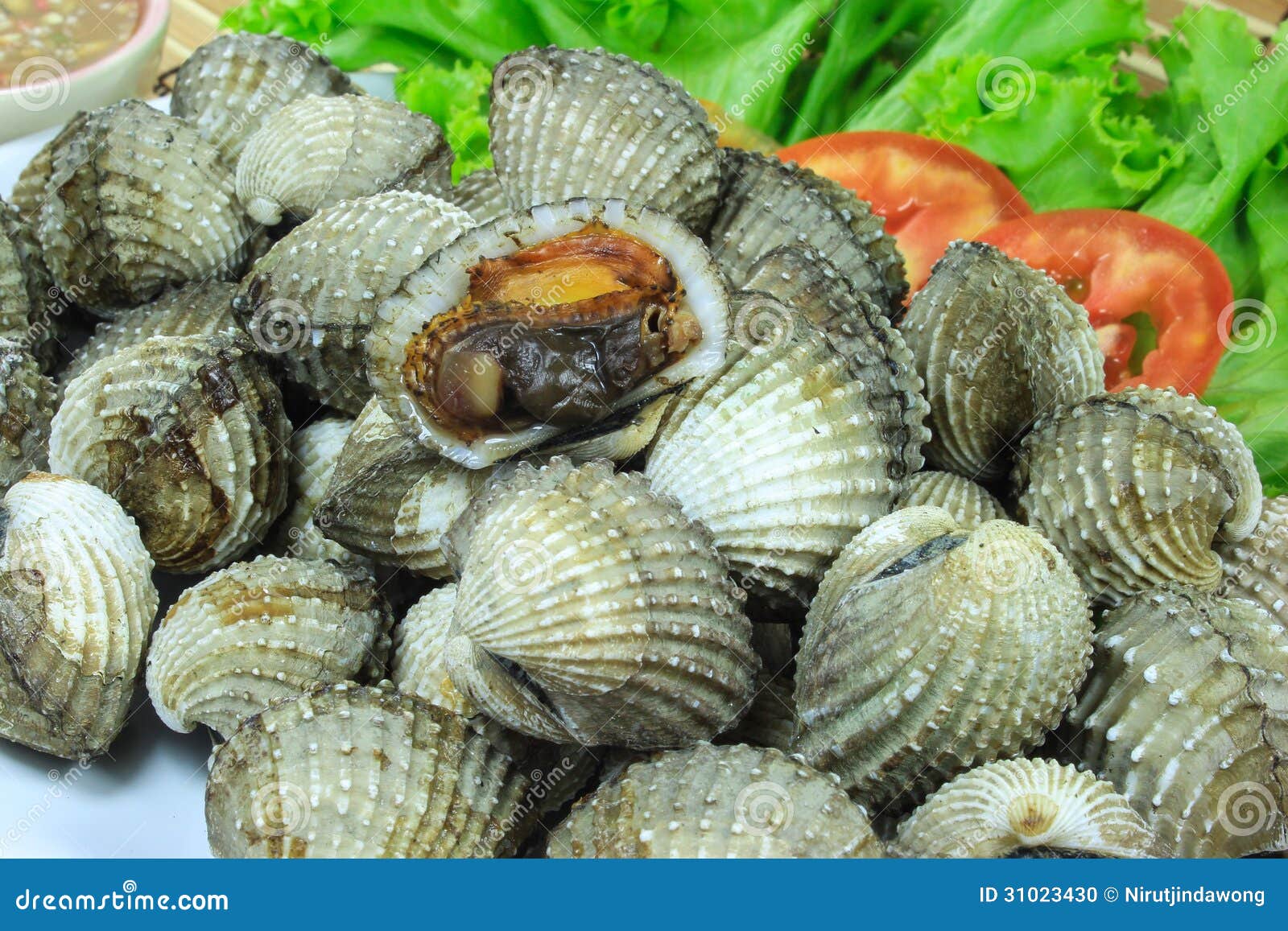 Cockles grill stock photo. Image of spice, shape, shell - 31023430