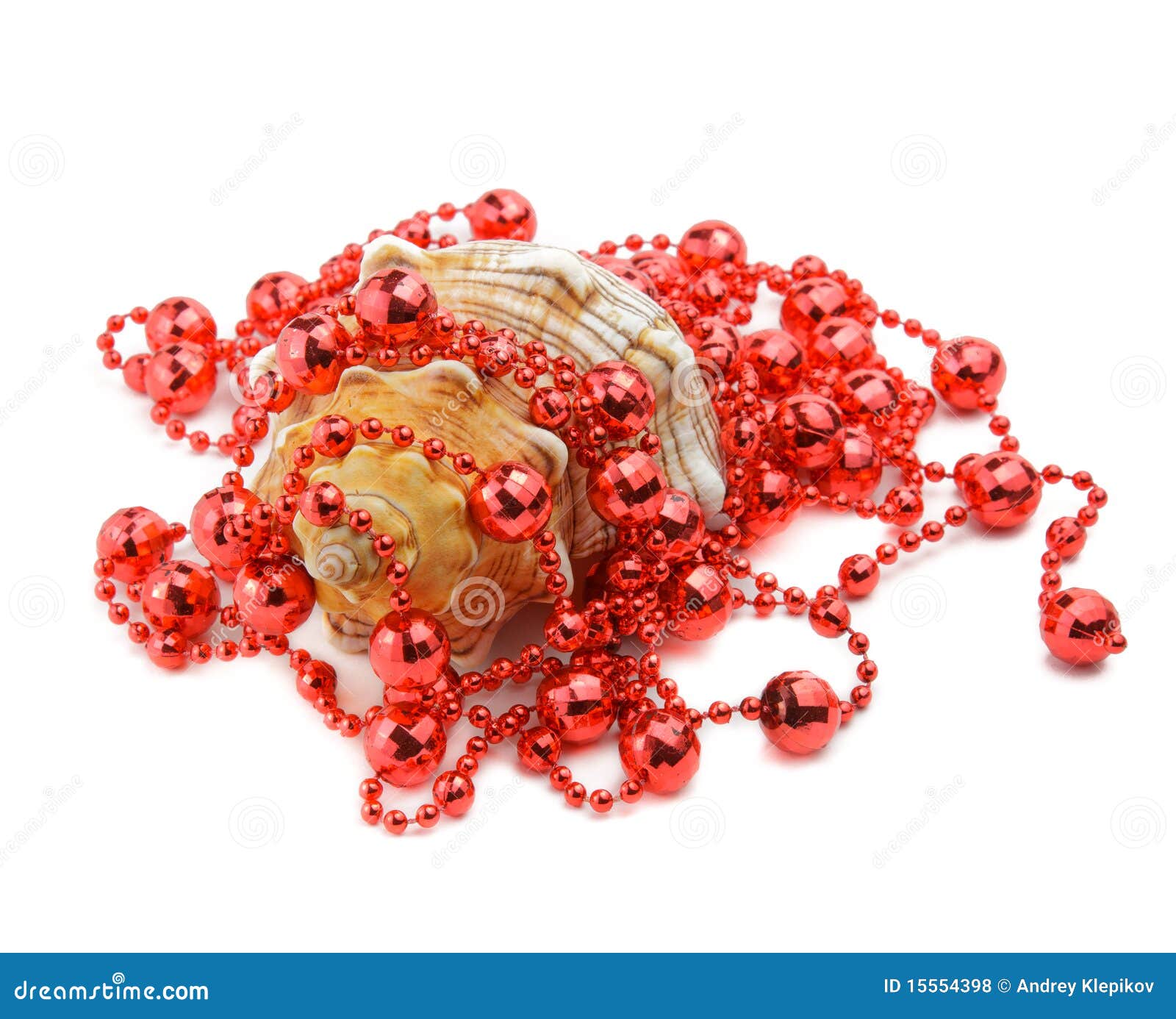 Cockleshell stock photo. Image of curve, circle, nature - 15554398