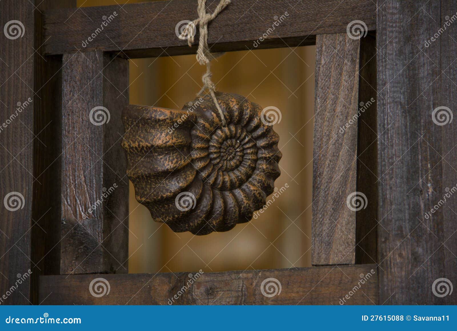 Cockleshell stock photo. Image of cockleshell, element - 27615088