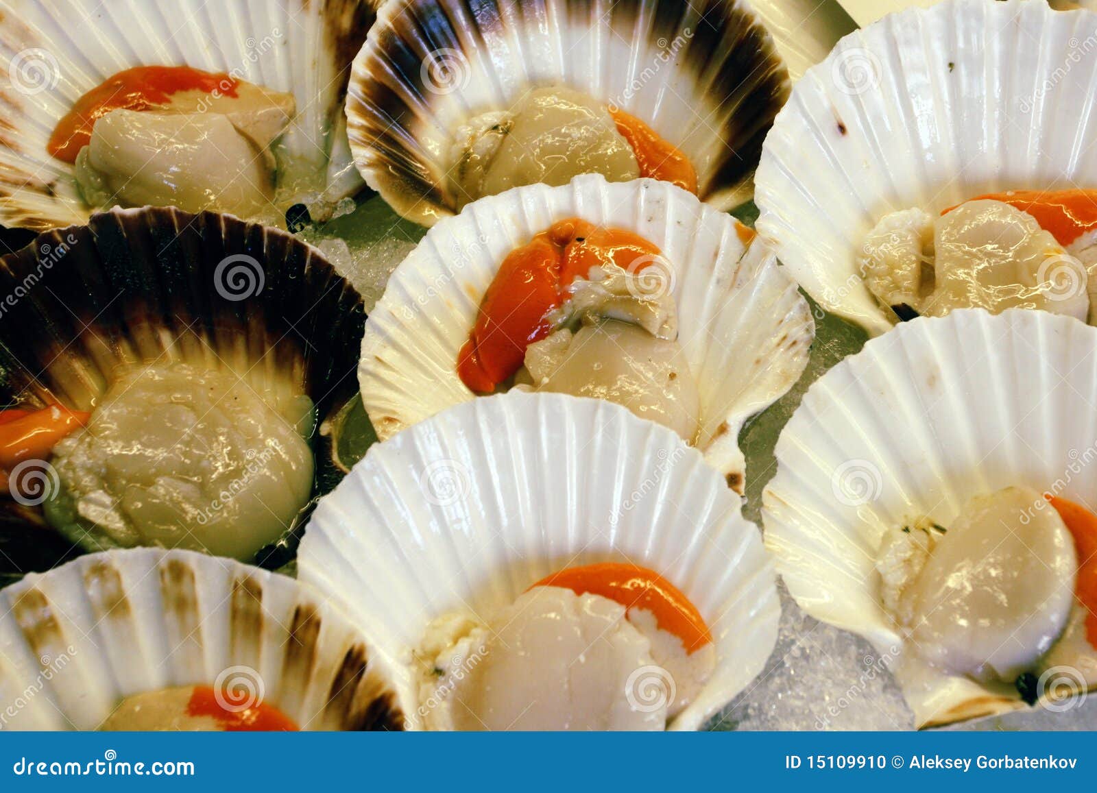 Cockleshells stock photo. Image of oyster, color, full - 15109910
