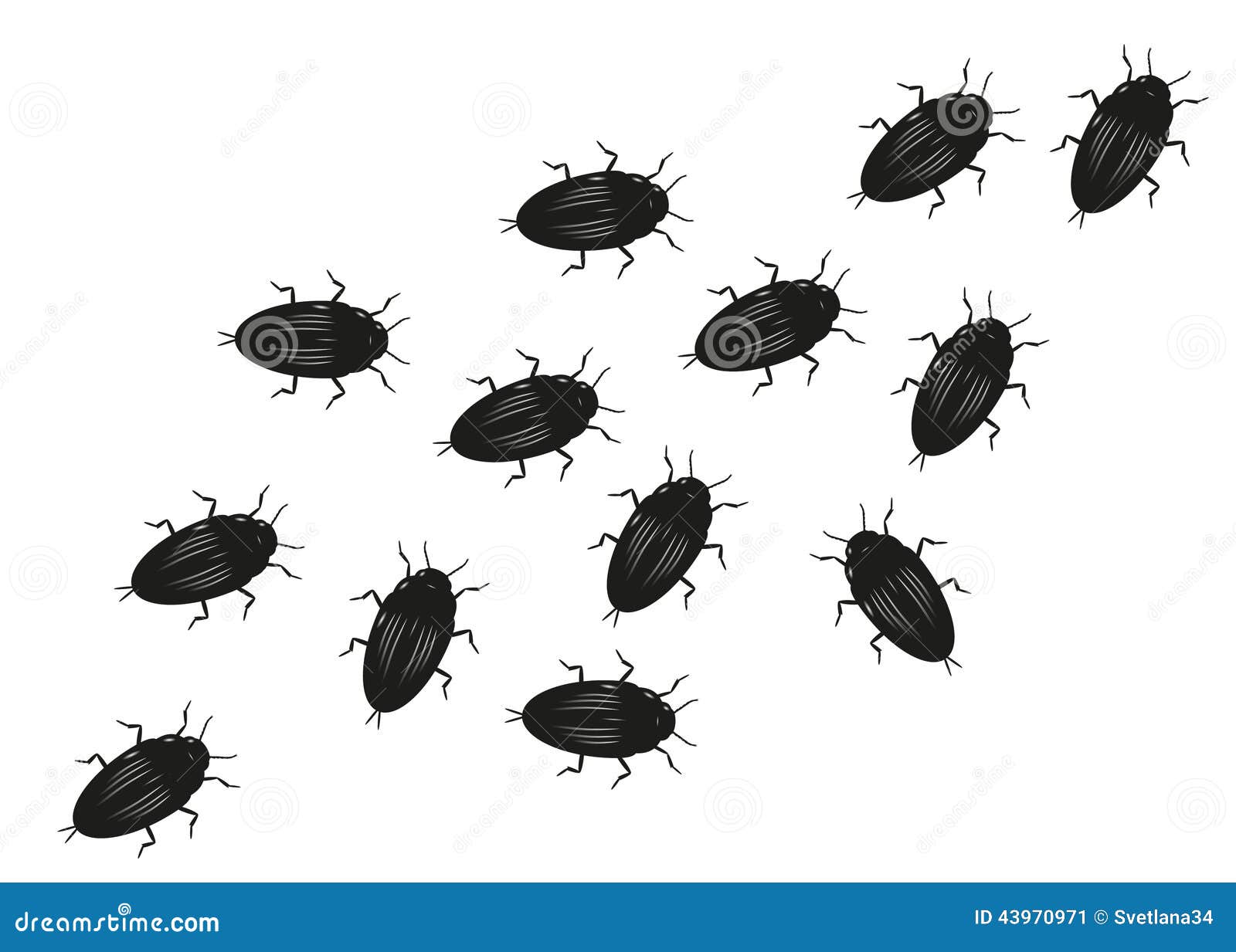 Two Black Cockroaches On A White Background With Free Space Stock Image ...