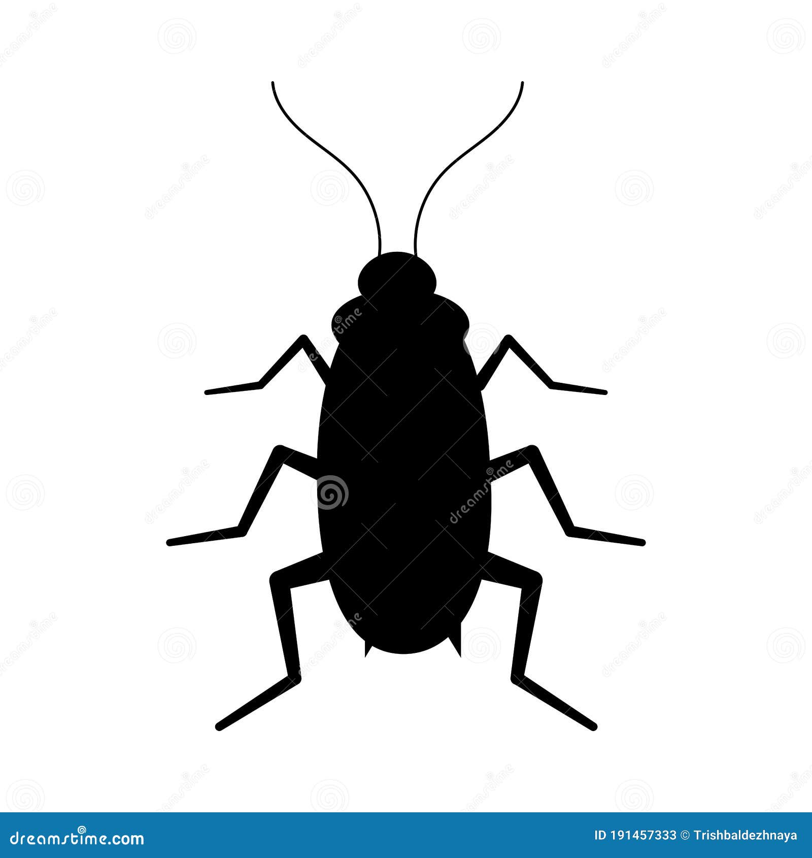 Cockroach Black Silhouettes, Detailed And Solid. Insect Vector ...