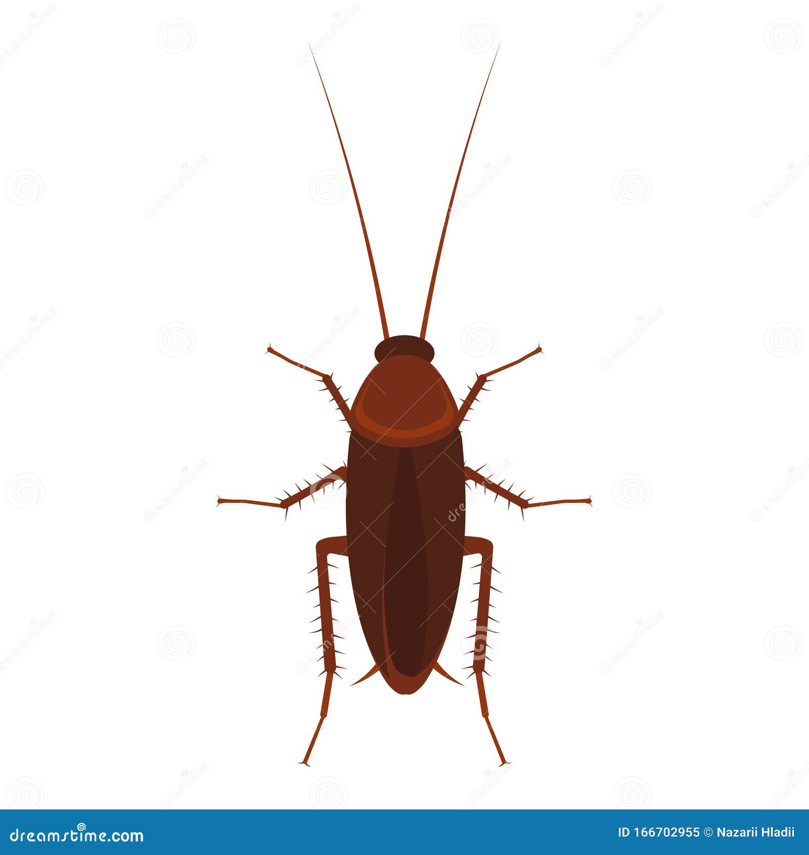 Cartoon Dead Cockroach | CartoonDealer.com #70069605